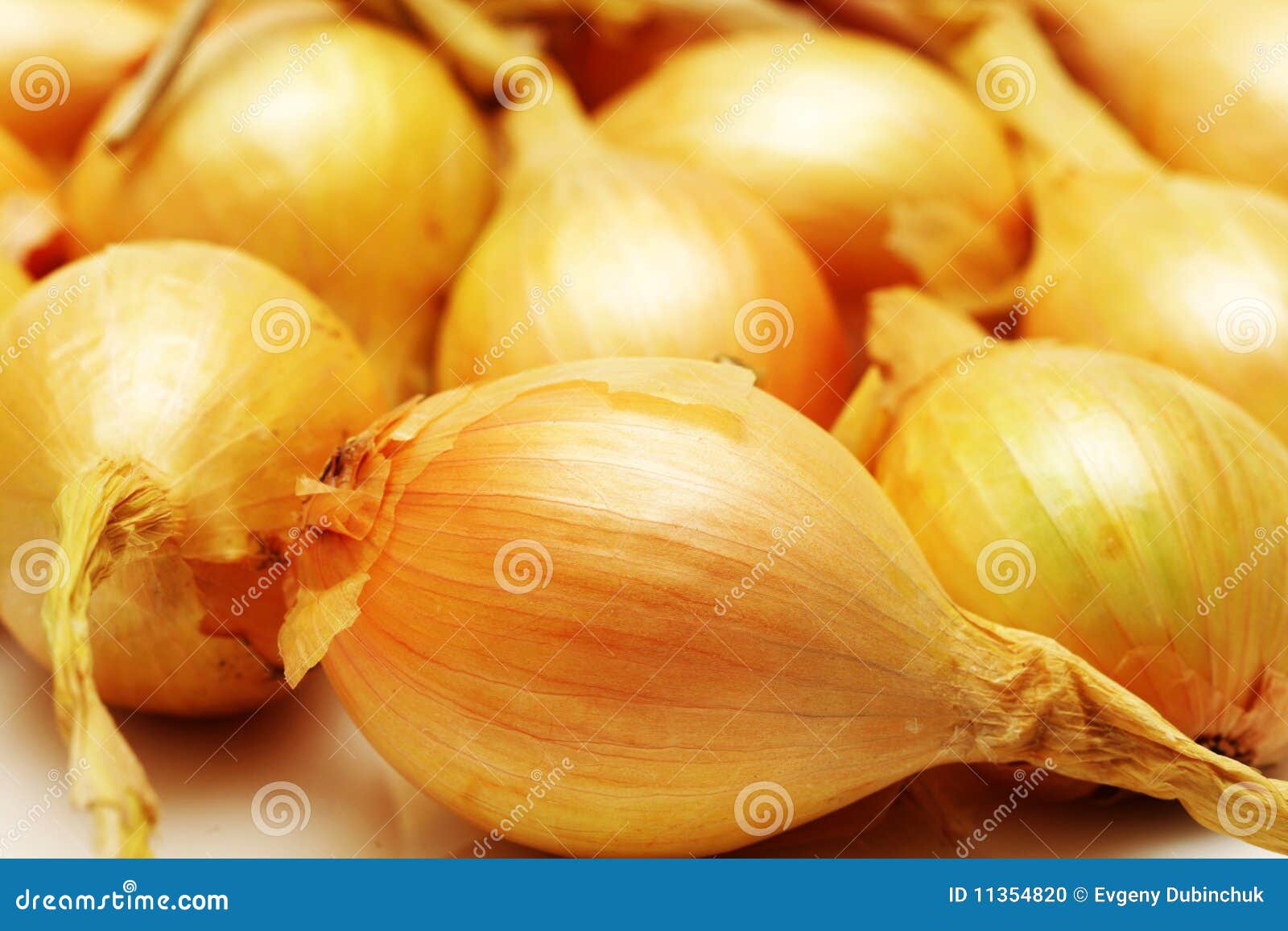 Pile of gold onions stock photo. Image of garden, colored - 11354820