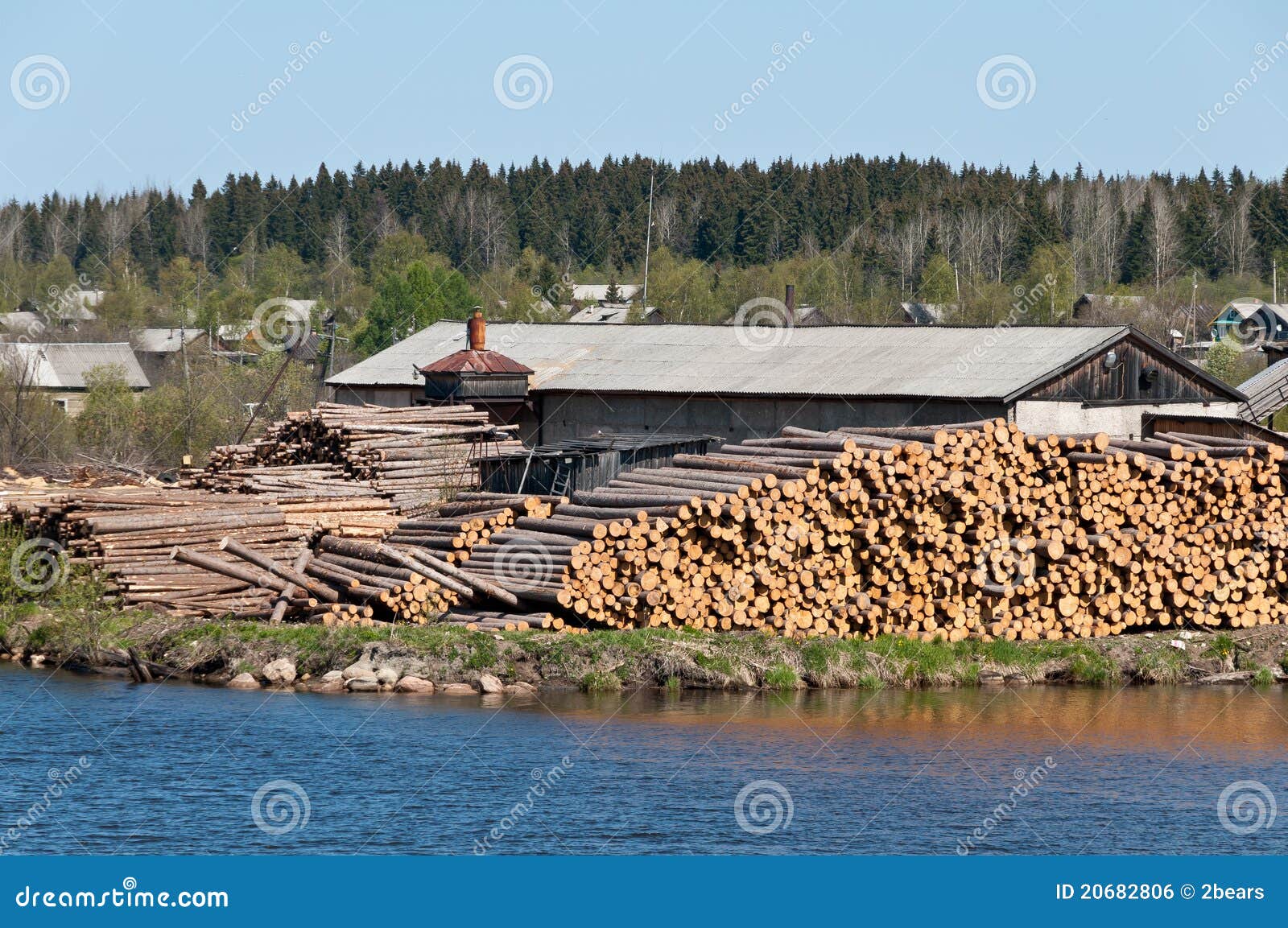 Pile of Graded and Numbered Debarked Logs Stock Photo - Image of ...