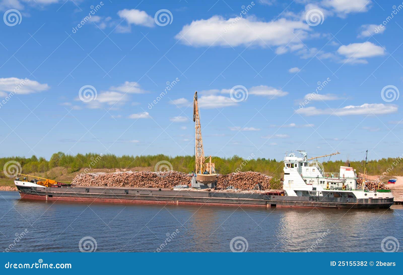 Pile of Graded and Numbered Debarked Logs Stock Photo - Image of cross ...