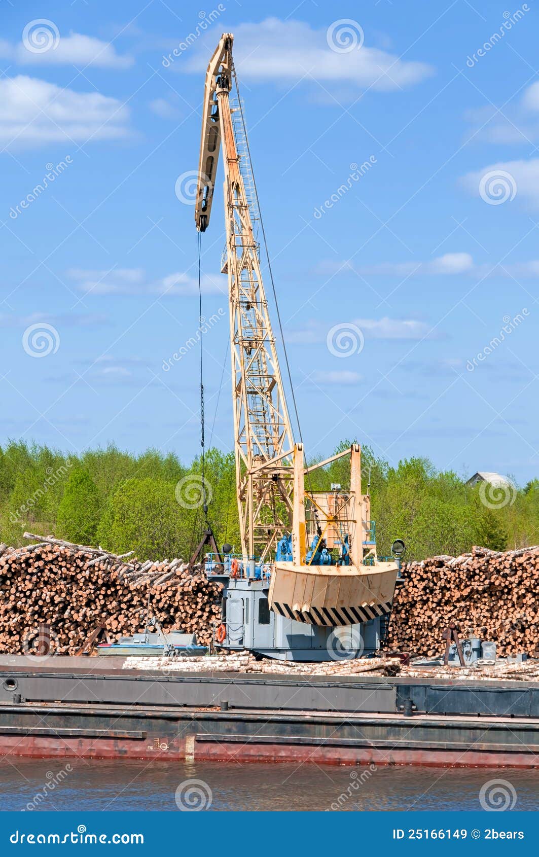 Pile of Graded and Numbered Debarked Logs Stock Image - Image of ...
