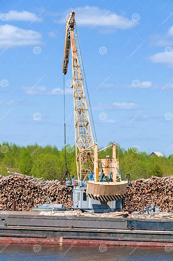 Pile of Graded and Numbered Debarked Logs Stock Image - Image of ...