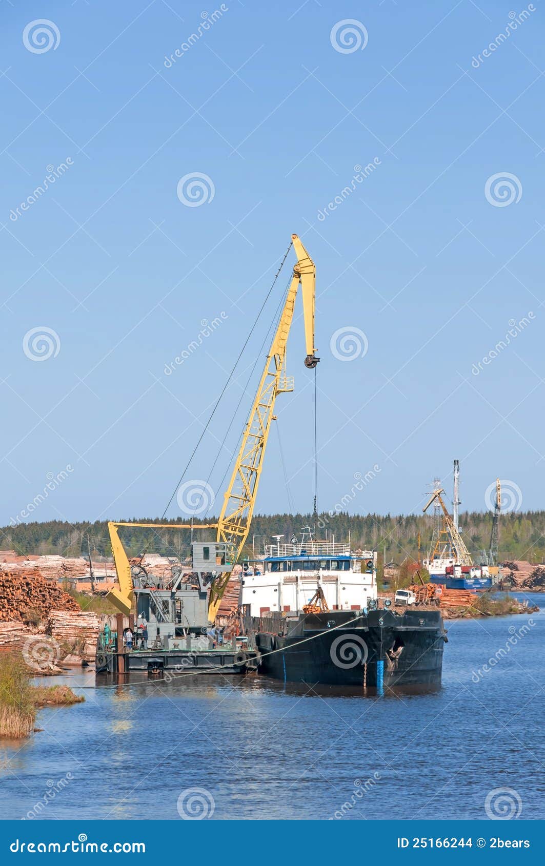 Pile of Graded and Numbered Debarked Logs Stock Photo - Image of ...
