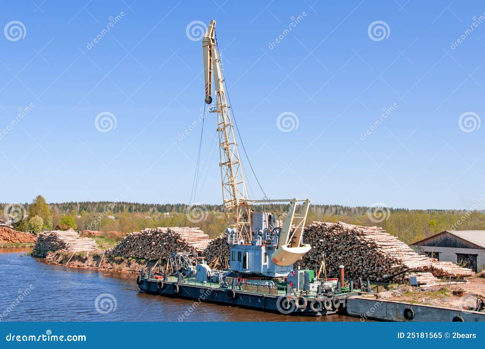 Pile of Graded and Numbered Debarked Logs Stock Image - Image of sawn ...