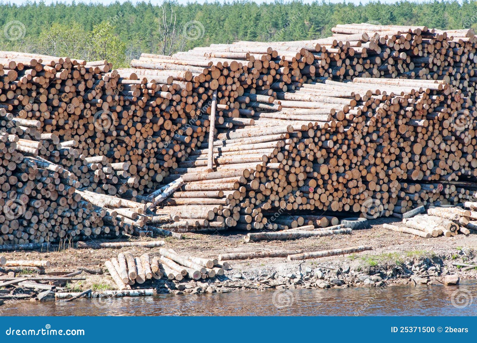 Pile of Graded and Numbered Debarked Logs Stock Photo - Image of forest ...