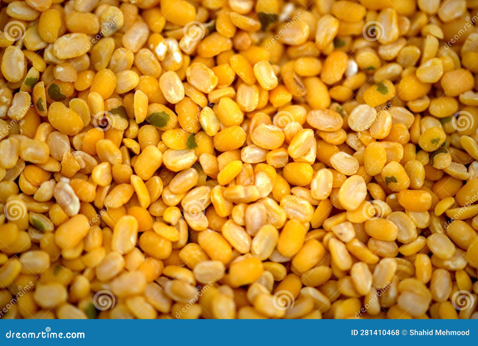 Dry Organic Split Half Moong or Mung Bean or Green Gram. Stock Photo ...