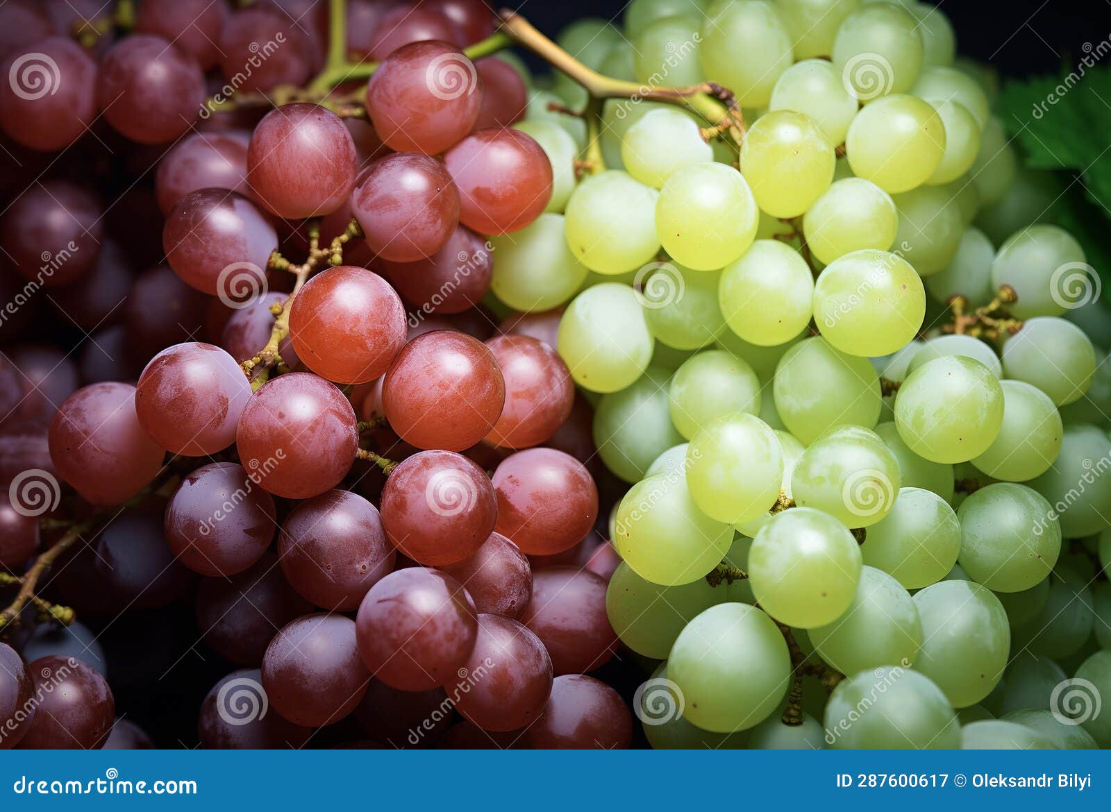 Set with Different Ripe Grapes Stock Illustration - Illustration of ...