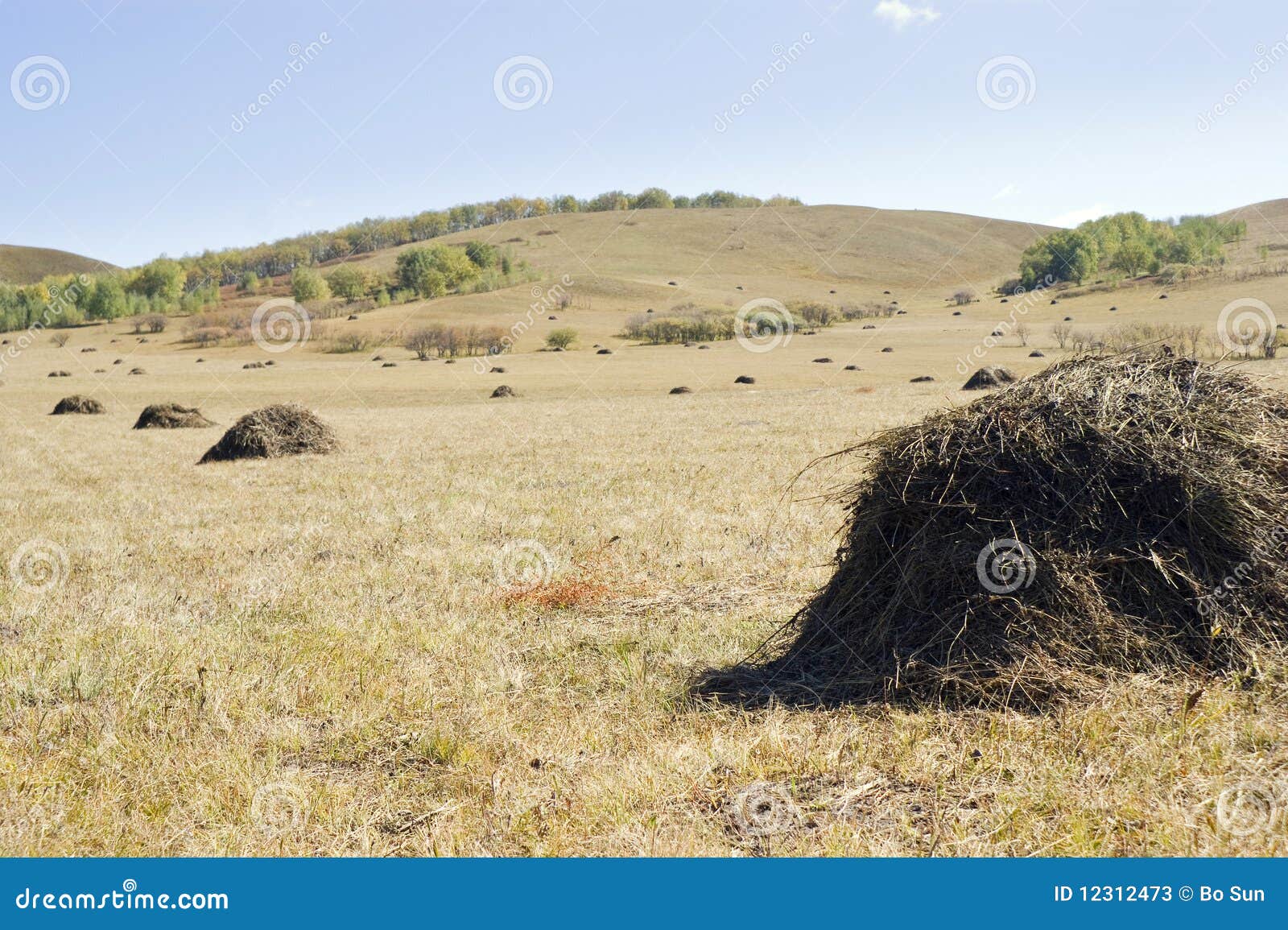 Pile of Grass stock image. Image of village, peasant - 12312473