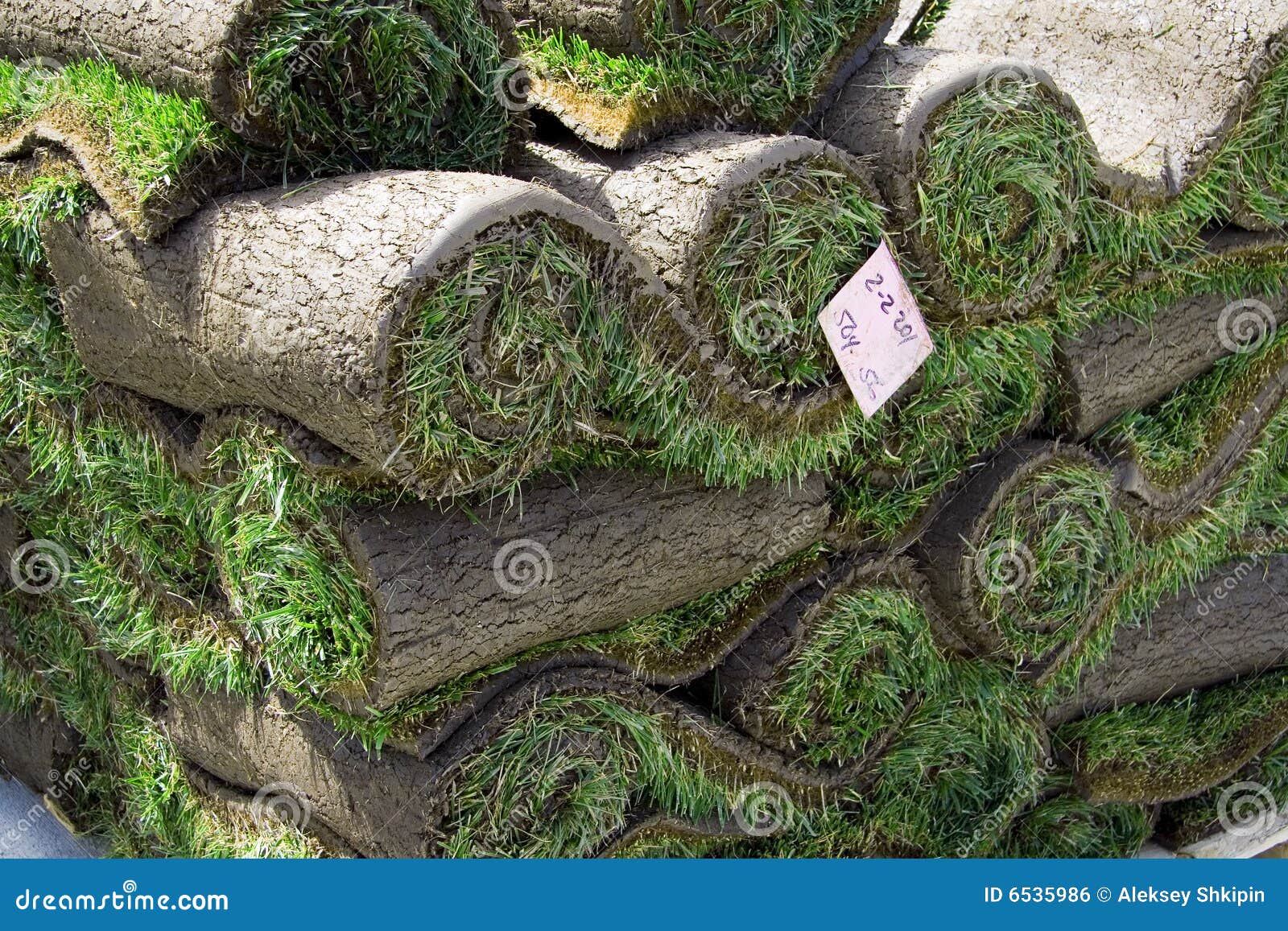 Pile of grass rolls stock photo. Image of turf, thin, fertilizer - 6535986