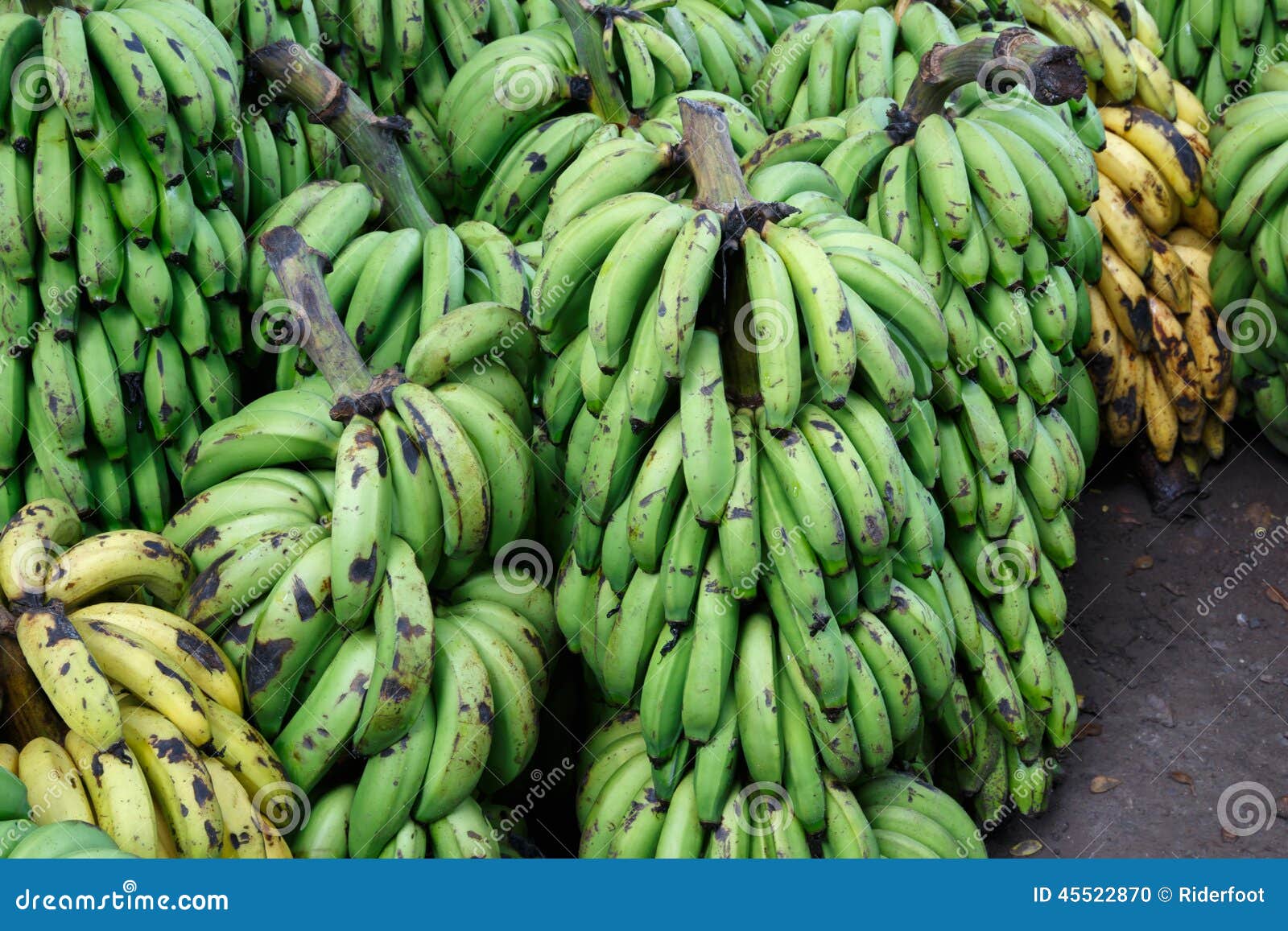 Pile of Green Babanas Outdoors Stock Photo - Image of agronomy, lush ...