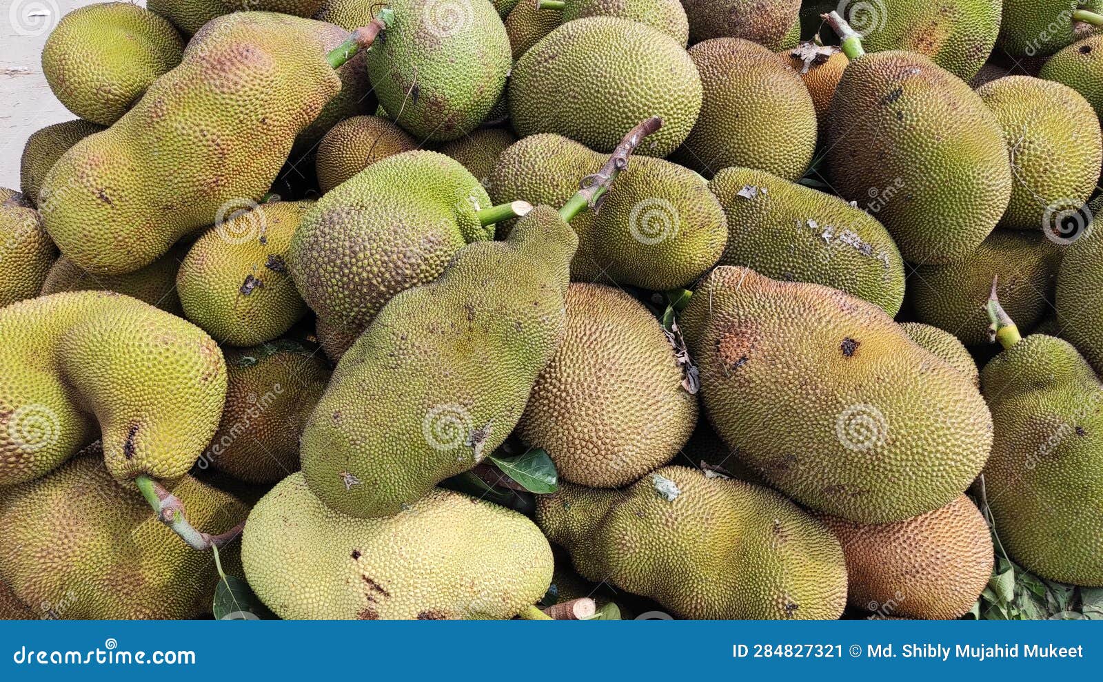 A Pile of Green and Brown Jackfruit Stock Image - Image of flesh ...
