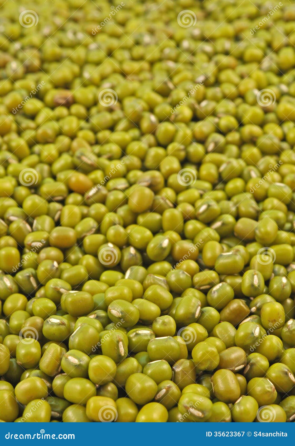 Pile of green gram seeds stock image. Image of heap, gram - 35623367