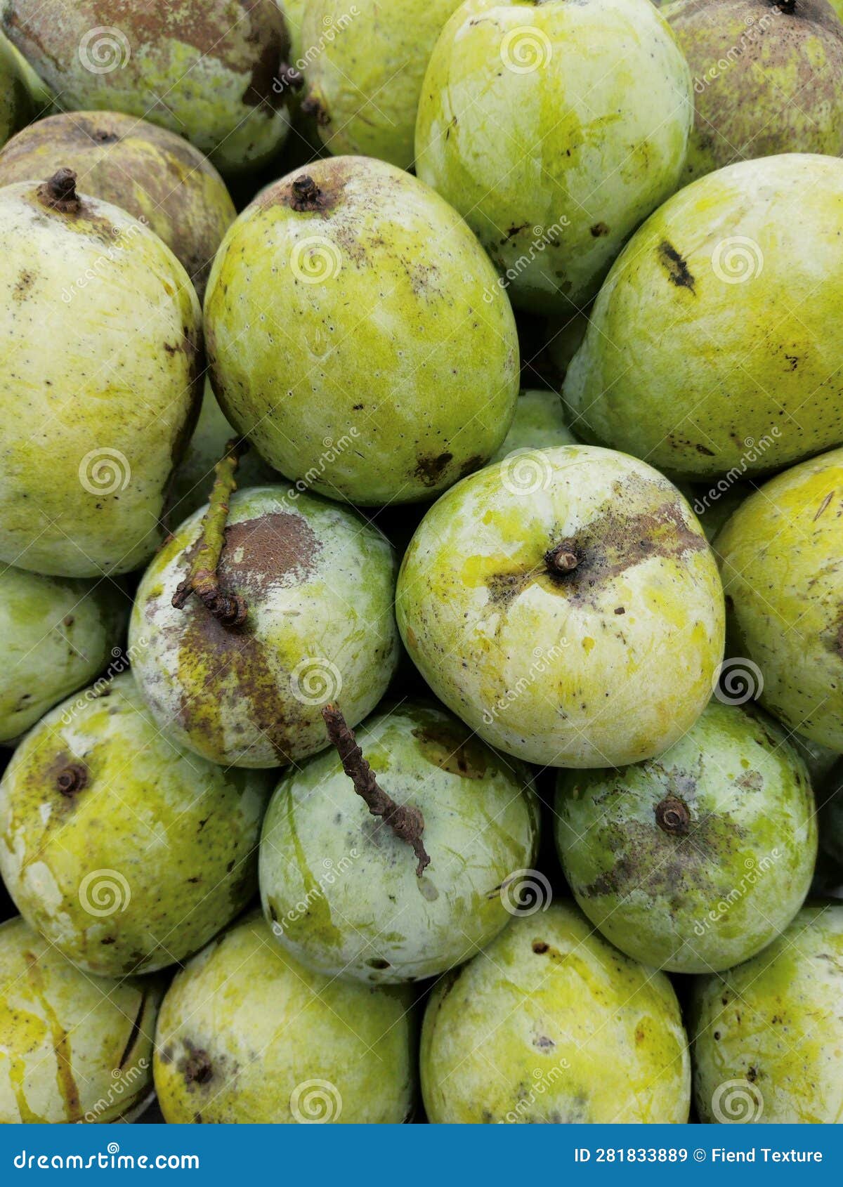 Pile of Green Mangoes, Mango or Fruit Design Material, Graphic Resource ...