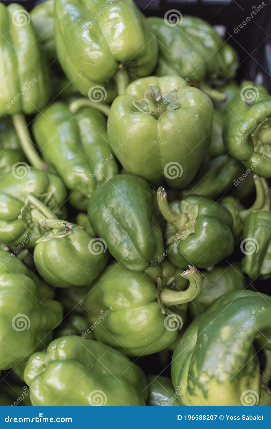 A Pile of Green Peppers in a Box Stock Image - Image of seller ...