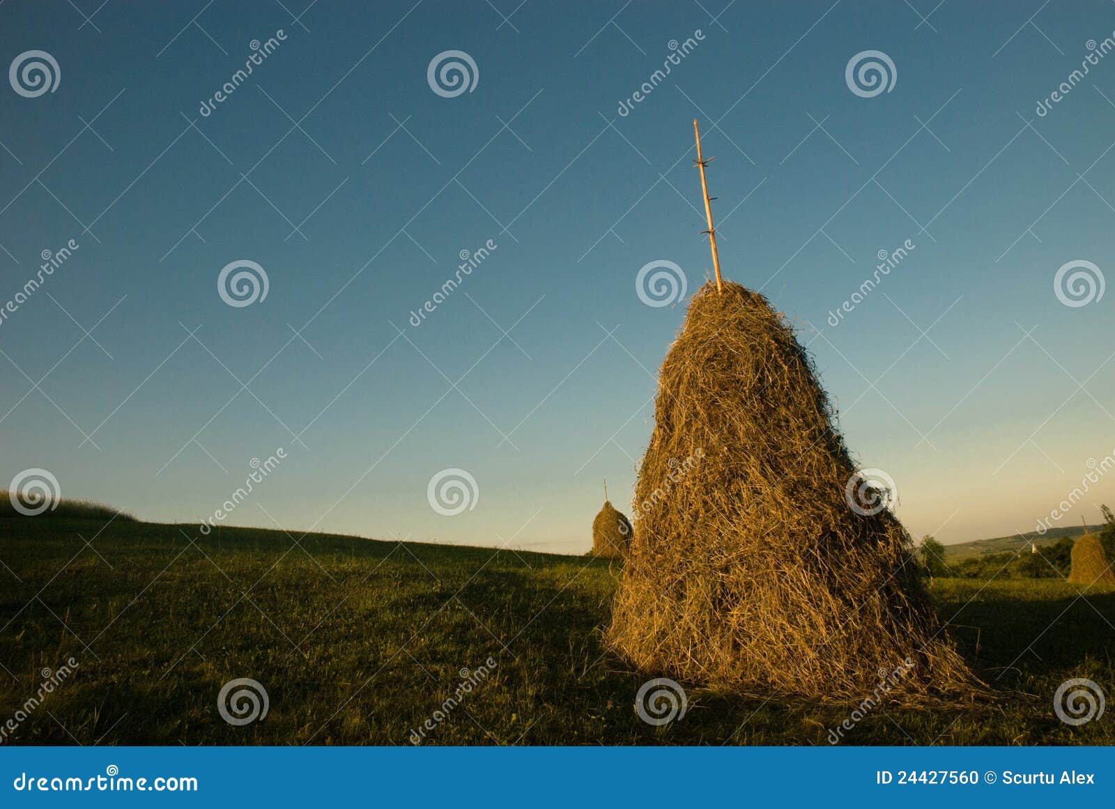 Pile of hay stock photo. Image of brown, farm, cereal - 24427560