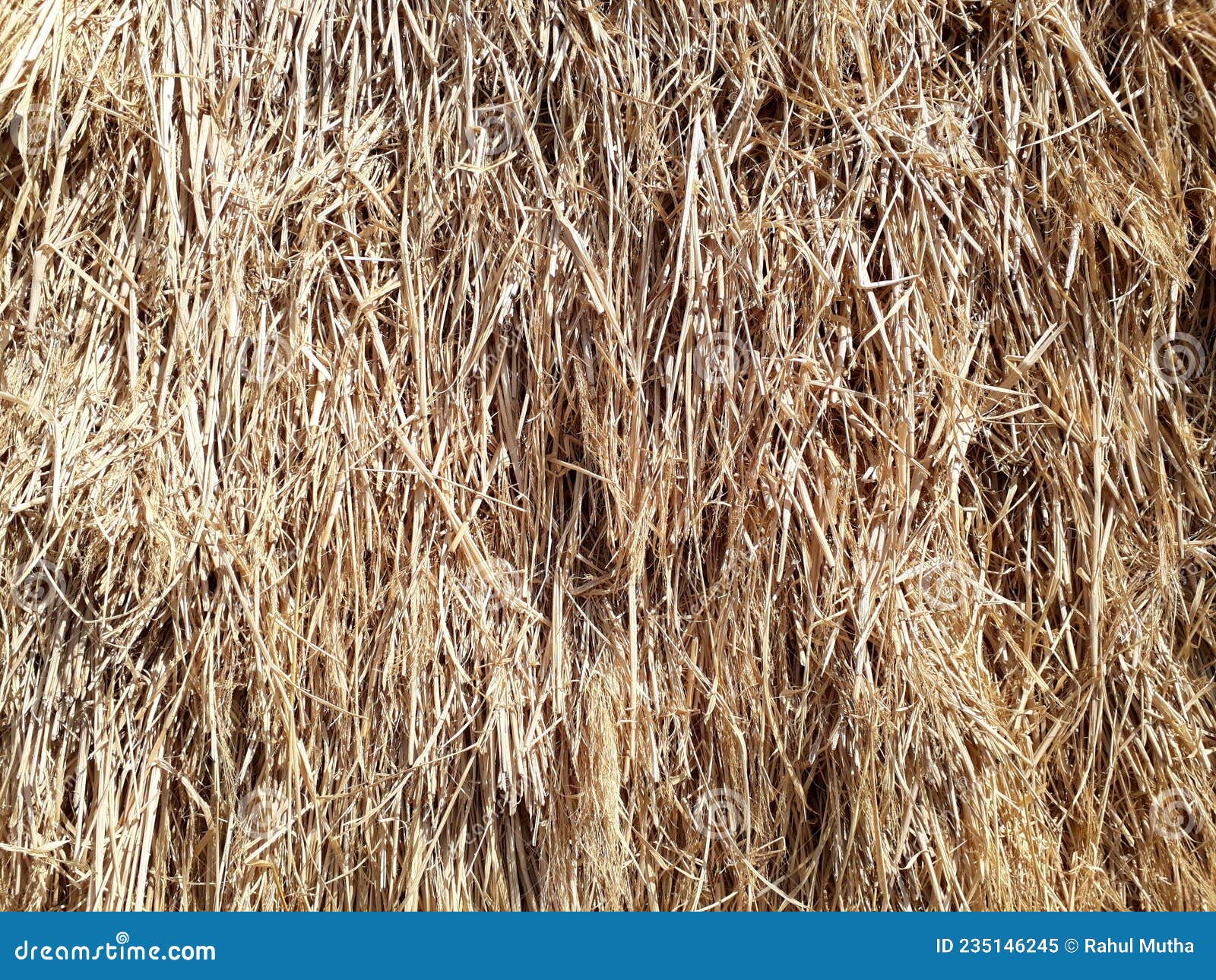 Pile of hay on ground stock image. Image of farm, field - 235146245