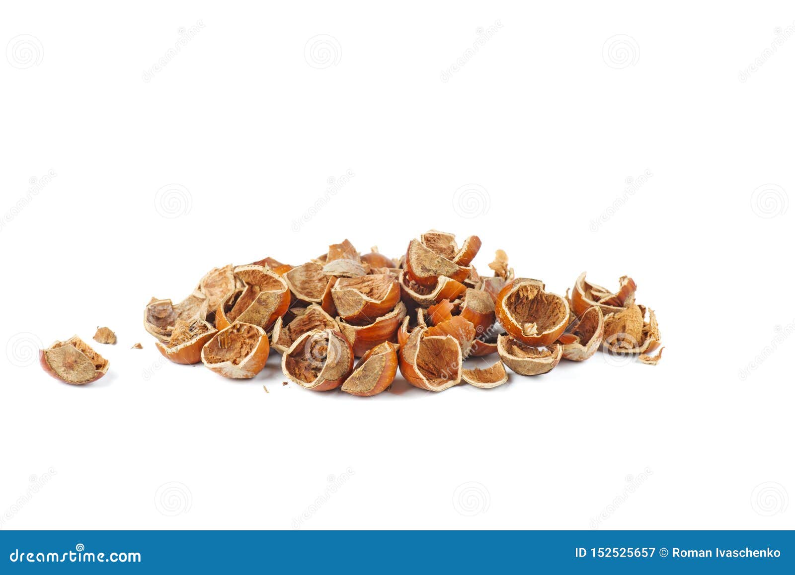 Pile of hazelnut husks stock image. Image of background - 152525657