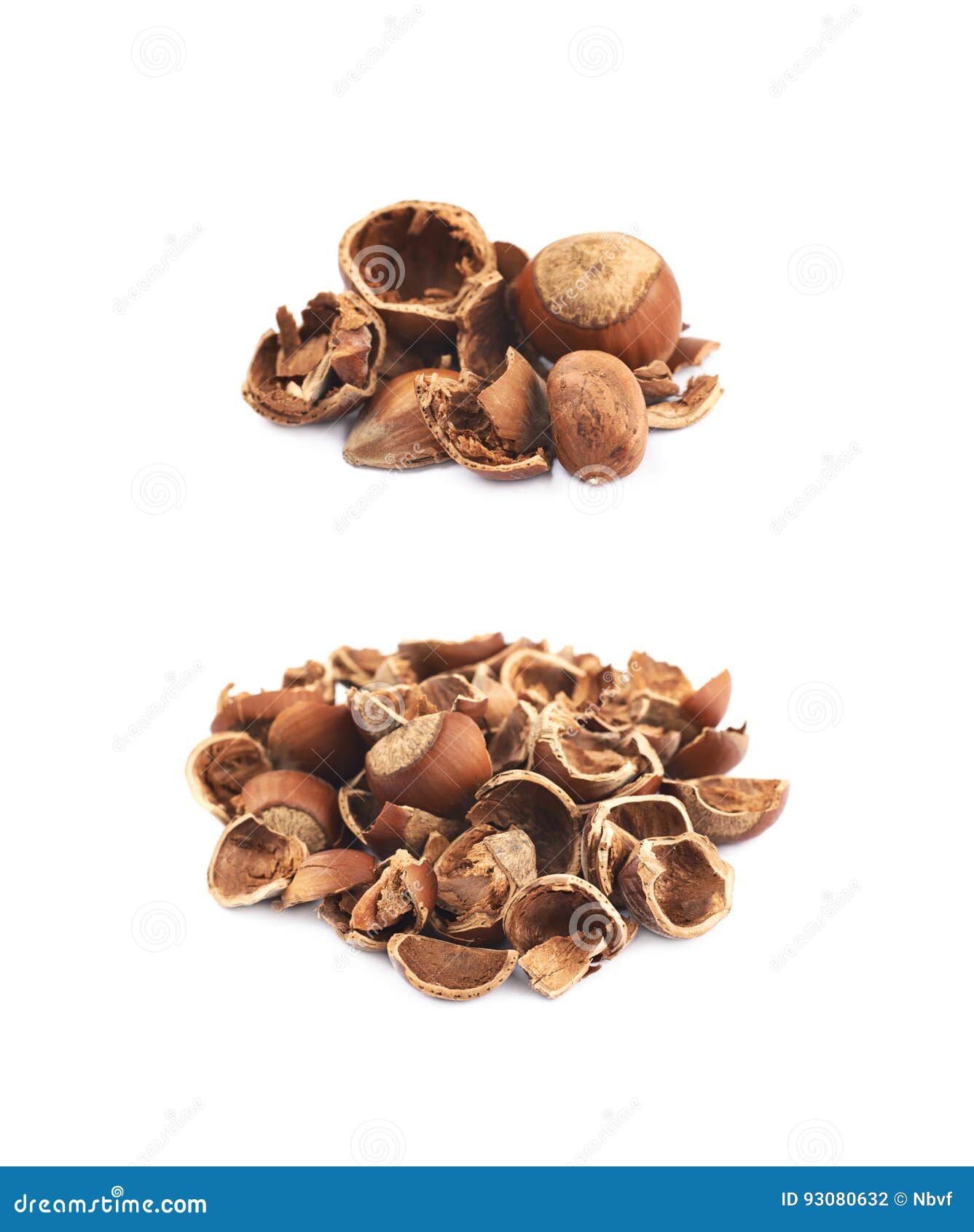 Pile of Hazelnut Shells Isolated Stock Photo - Image of nature, macro ...