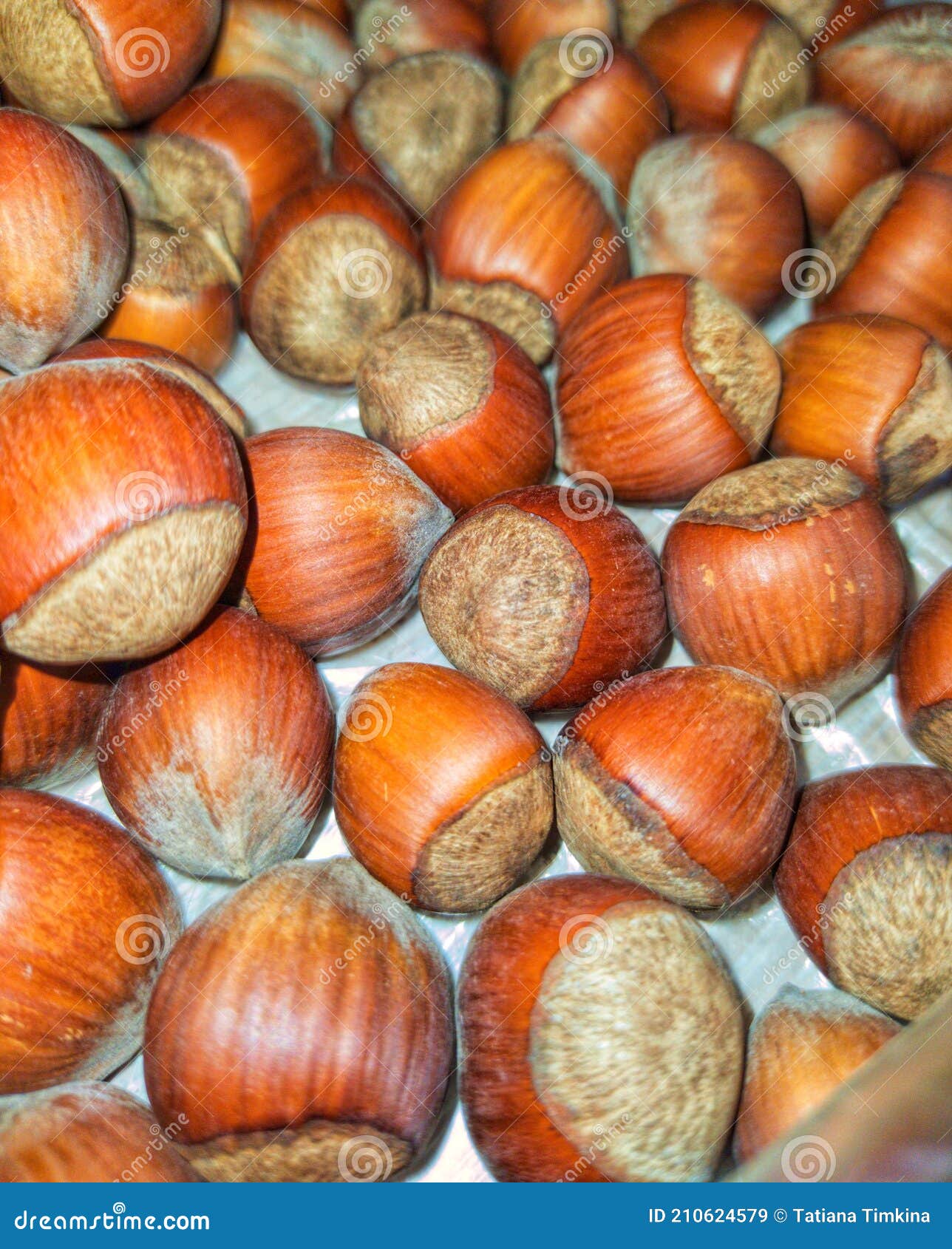 A Pile of Hazelnuts, Filbert Nuts in the Background . Stock Image ...
