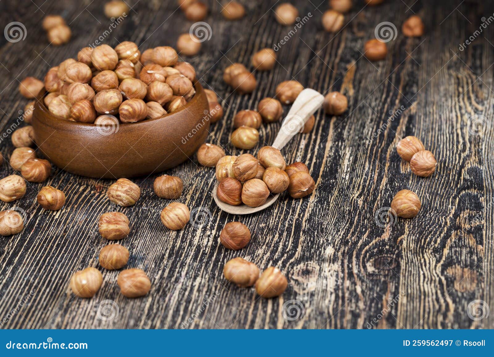 A Pile of Hazelnuts on the Table Stock Image - Image of vegetarian, table: 259562497