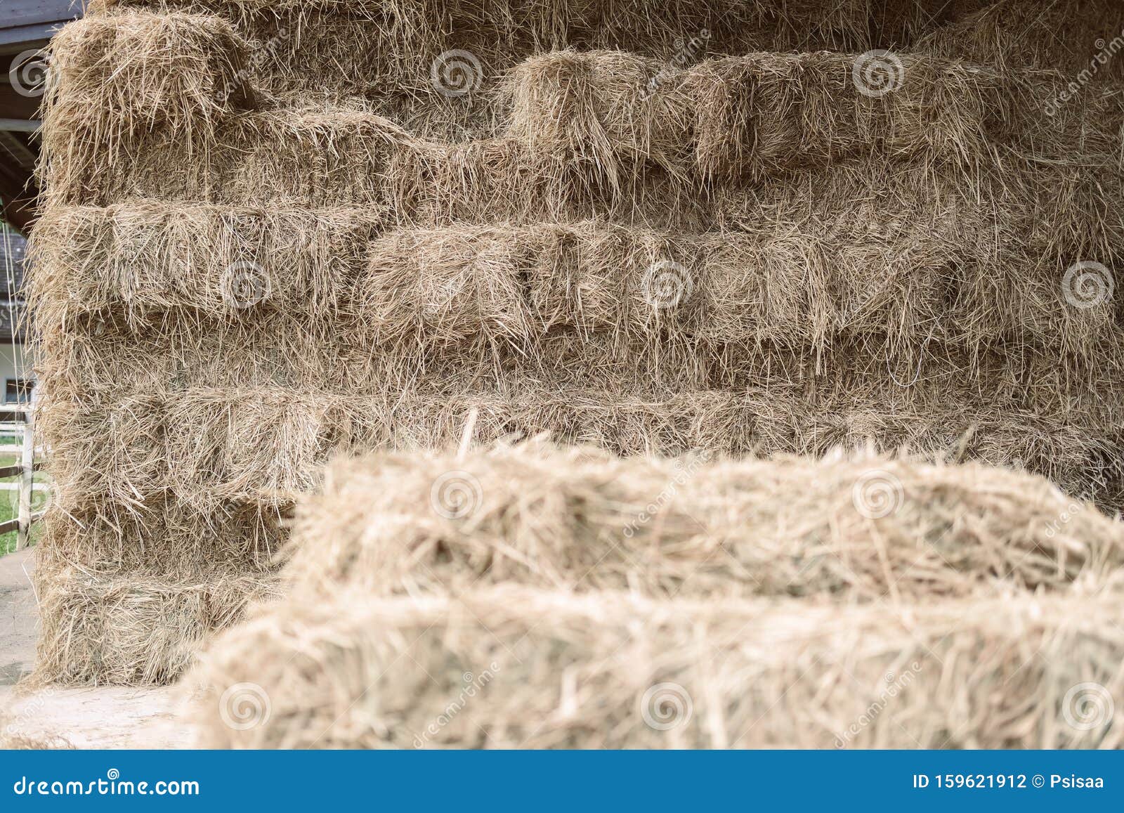 Heap of Rice Straw Hay in Farm Stock Photo - Image of crop, pile: 159621912