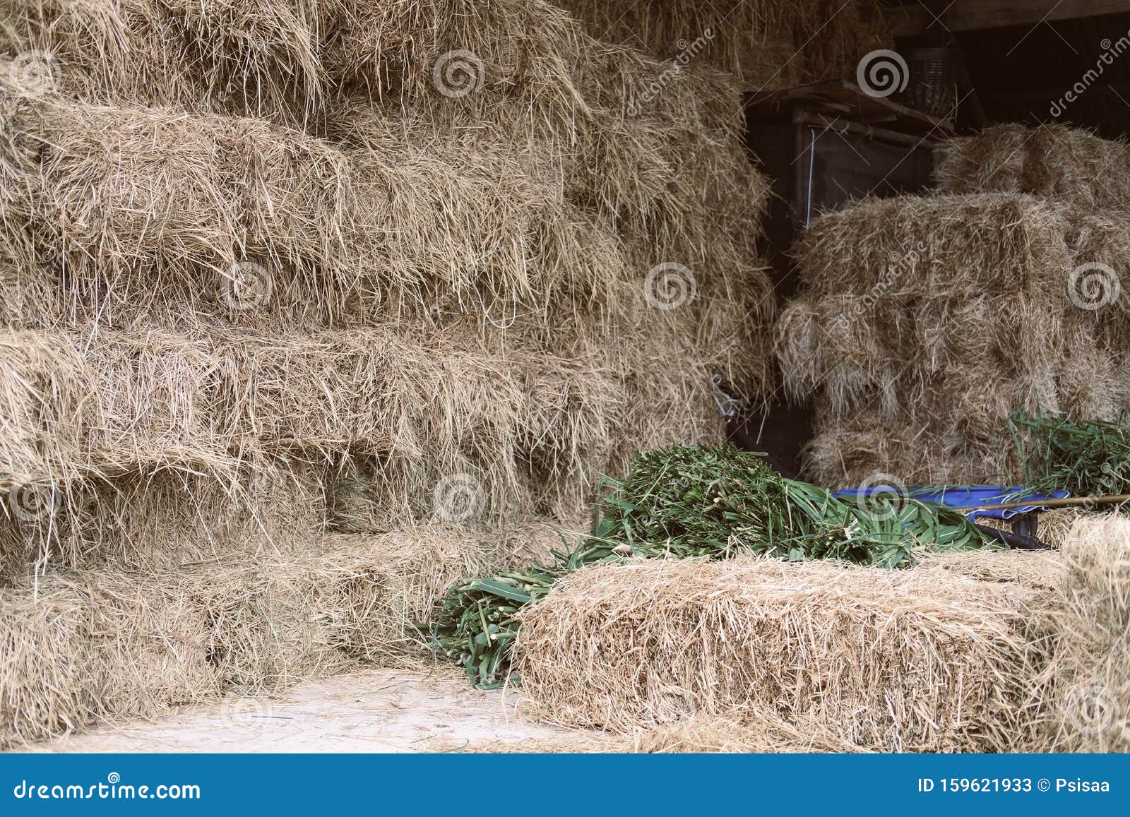 Heap of Rice Straw Hay in Farm Stock Image - Image of harvesting ...