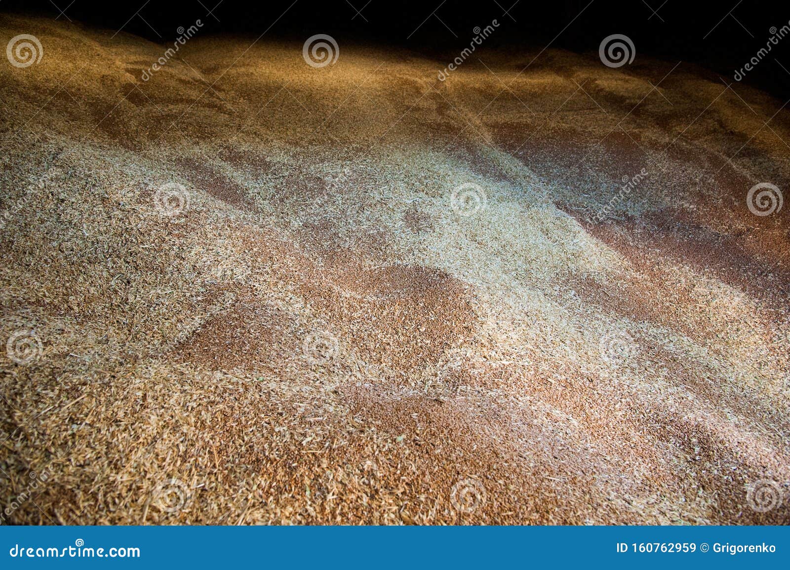 Pile of Heaps of Wheat Grains at Grain Elevator Stock Image - Image of ...