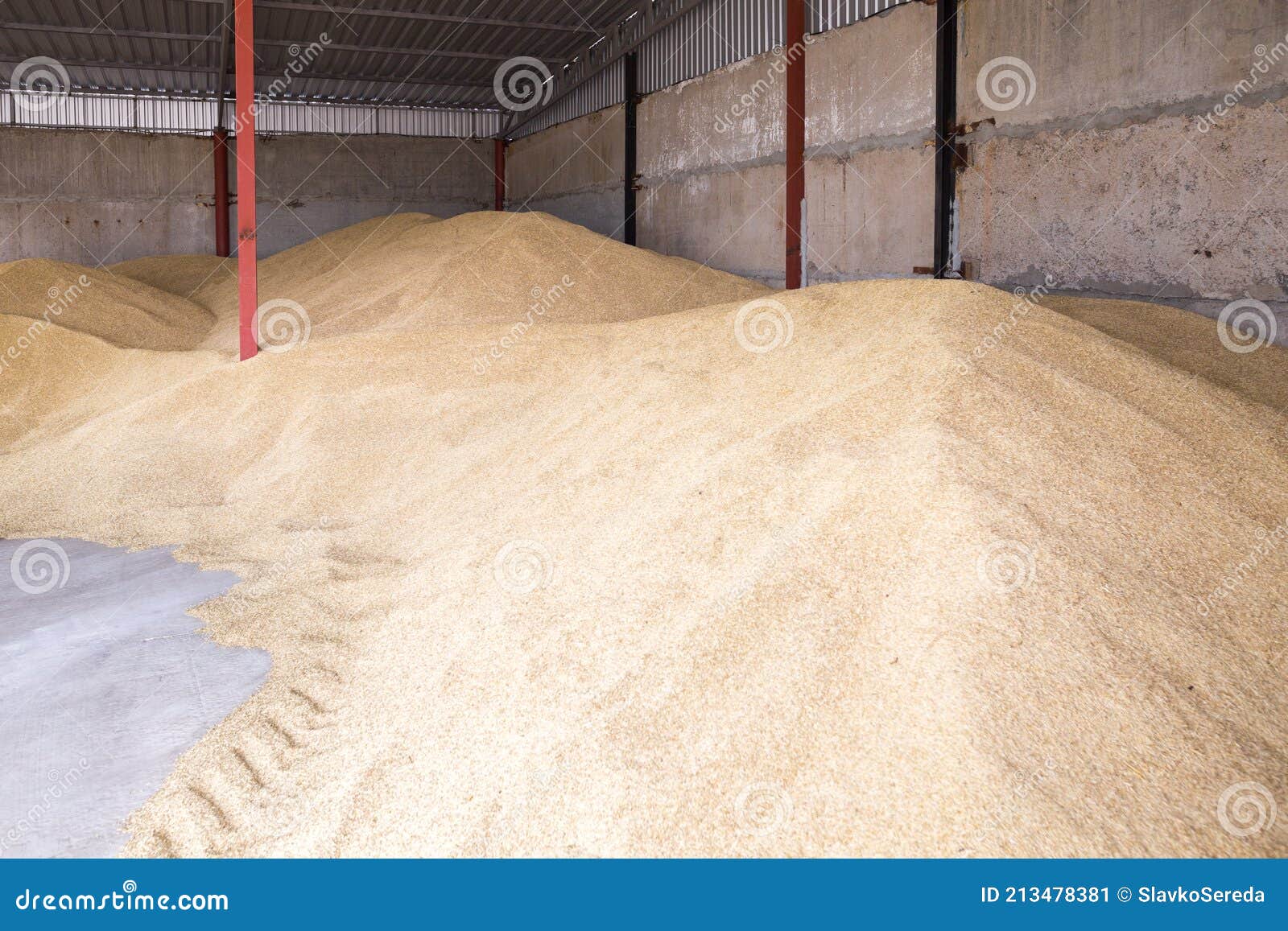 Pile of Heaps of Wheat Grains at Mill Storage or Grain Elevator Stock ...