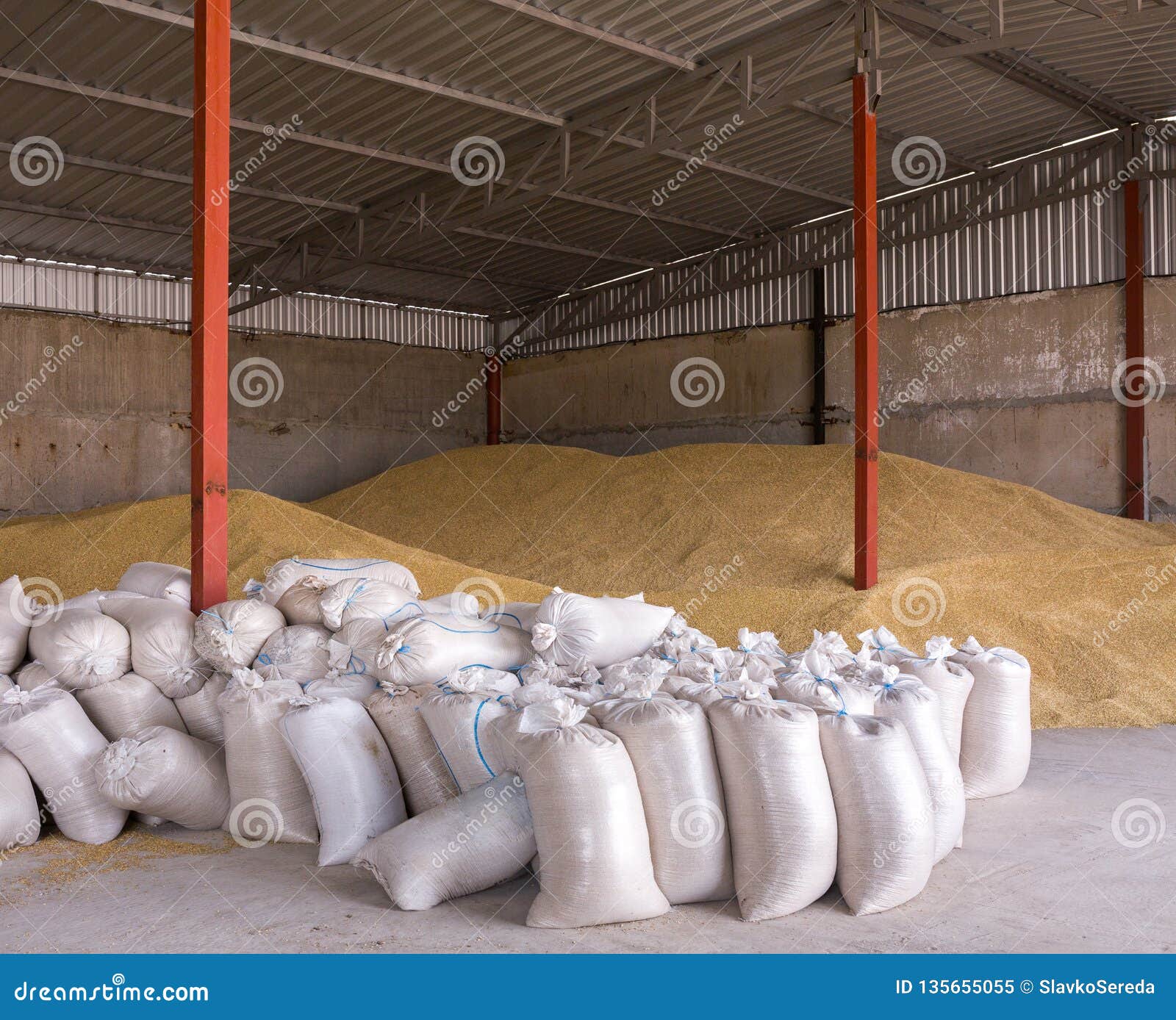 Pile of Heaps of Wheat Grains and Sacks at Mill Storage or Elevator ...