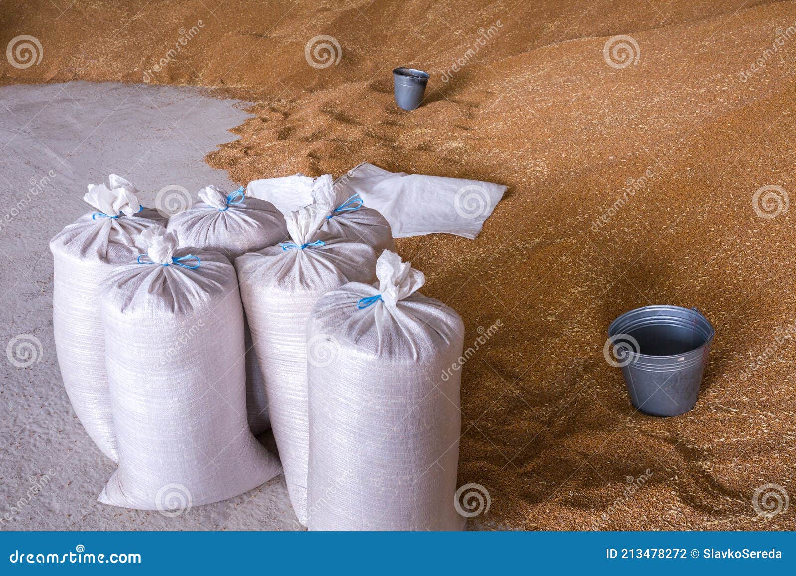 Pile of Heaps of Wheat Grains and Sacks at Mill Storage or Grain ...