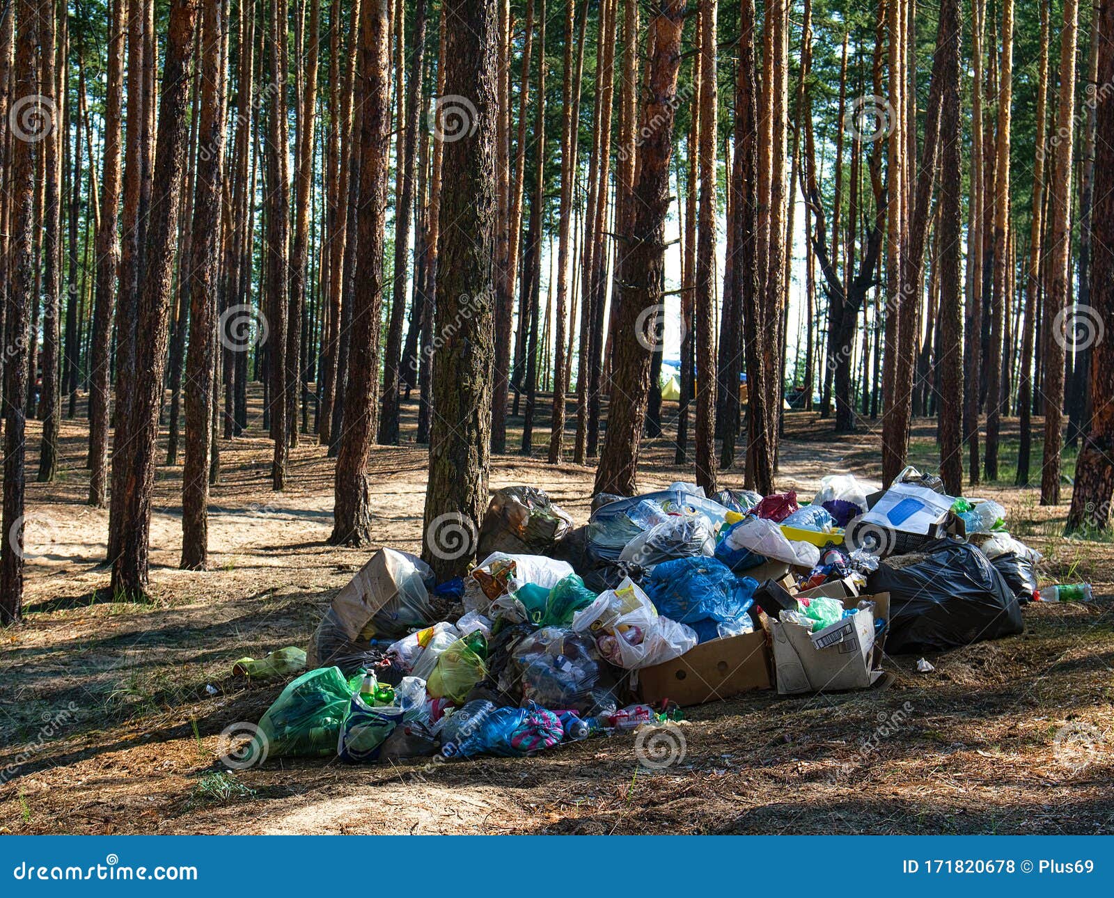Pile of Household Garbage in a Clearing in the Forest Stock Photo ...