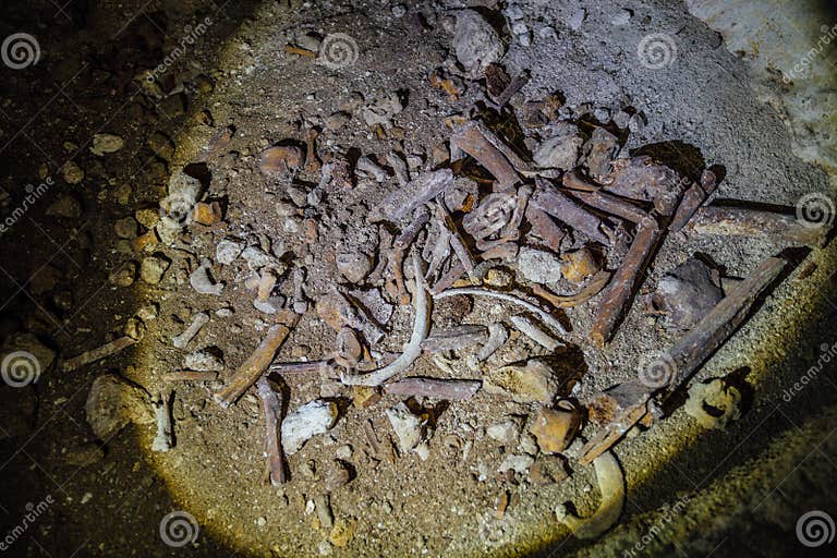 Pile of Human Bones in the Old Underground Crypt Stock Image - Image of ...