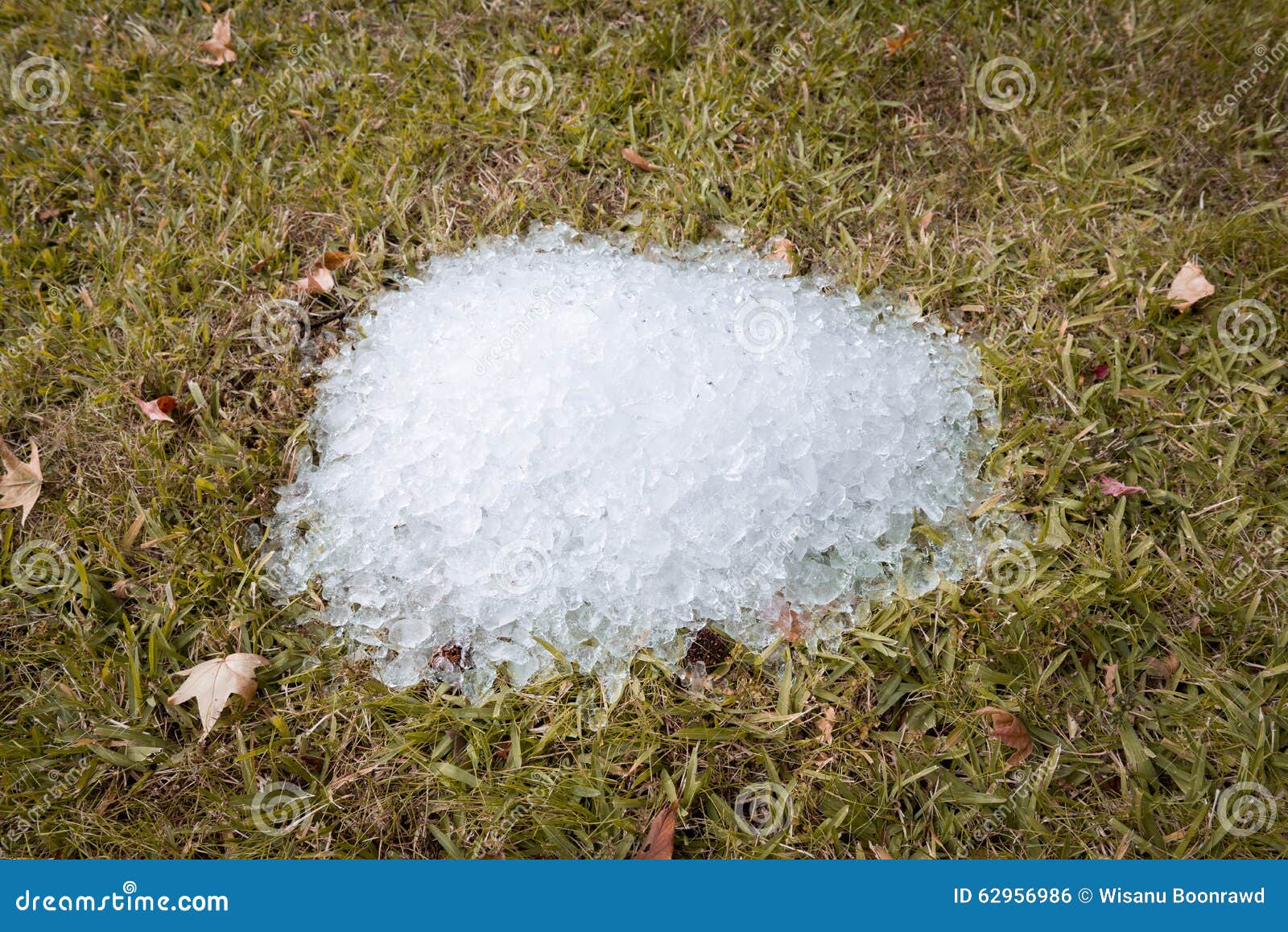 Pile of ice on grass stock photo. Image of white, dead - 62956986