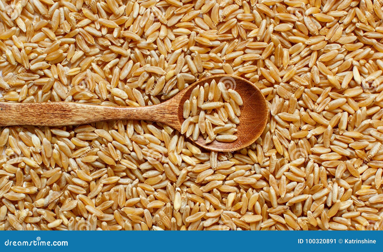 Pile of Kamut Grain with a Spoon Stock Image - Image of nourishment ...