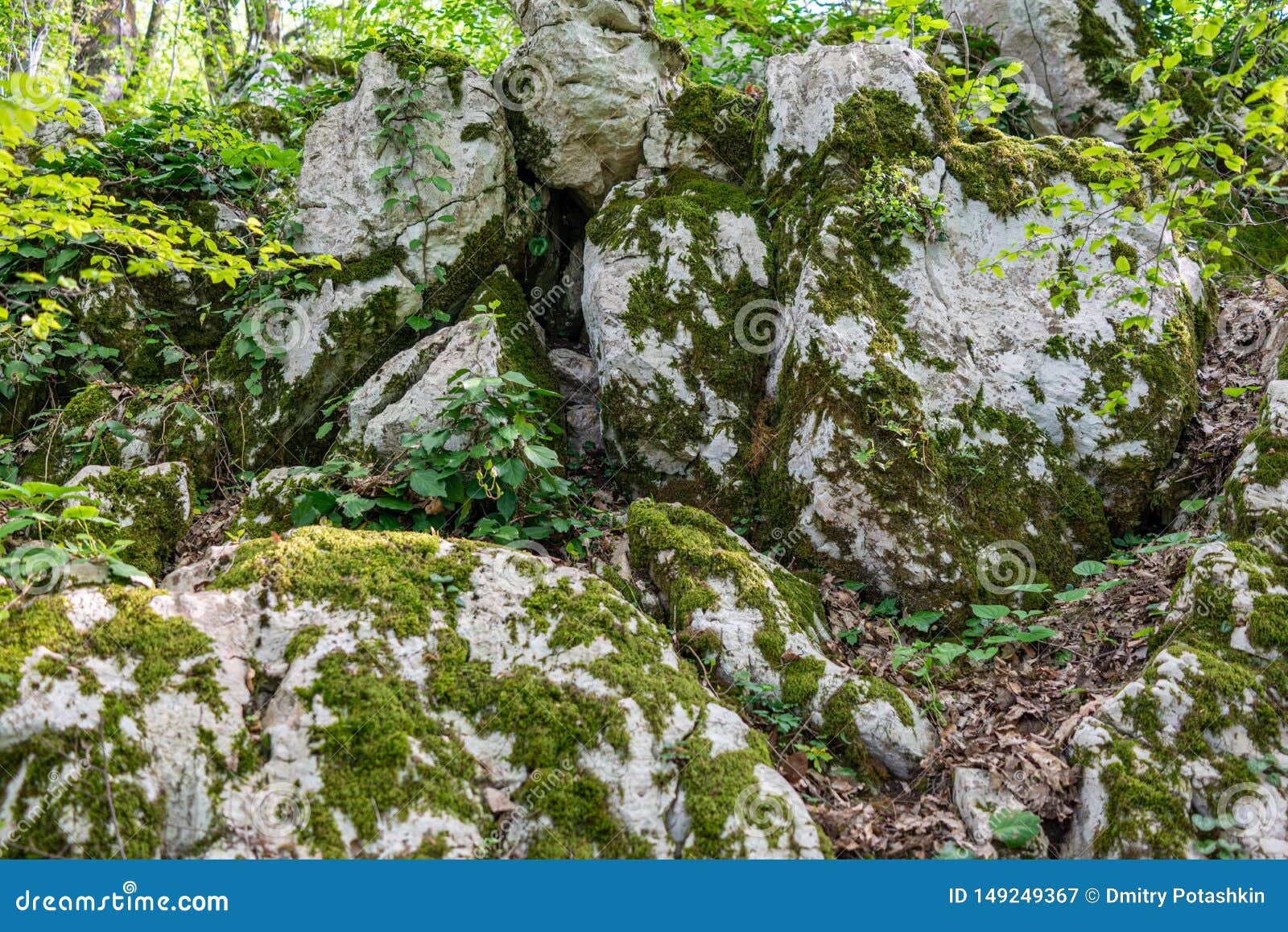 A Pile of Large Stones in the Forest, Overgrown with Moss and Grass ...