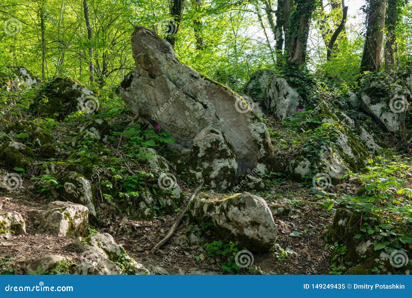 A Pile of Large Stones in the Forest, Overgrown with Moss, Grass and ...