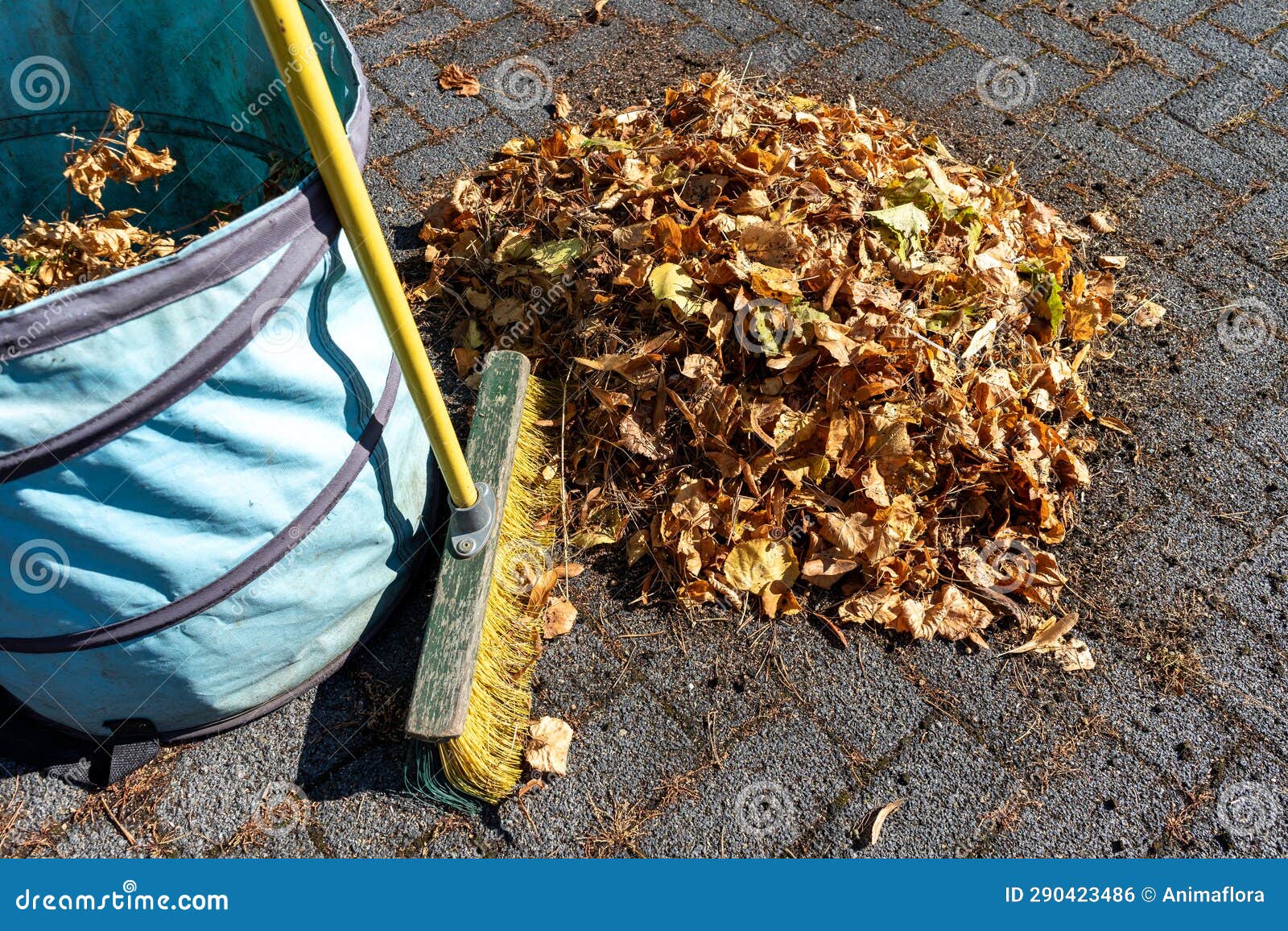 Pile of Leaves with Broom and Bucket in Autumn Stock Photo - Image of ...