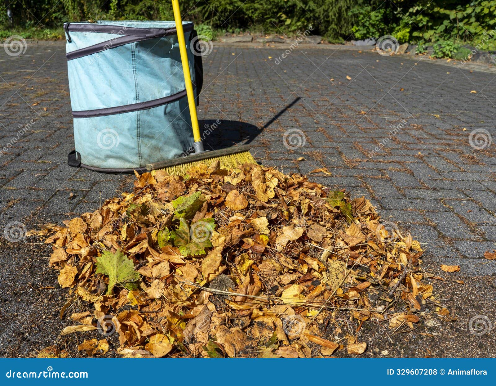 Pile of Leaves with Broom and Bucket in Autumn Stock Photo - Image of ...