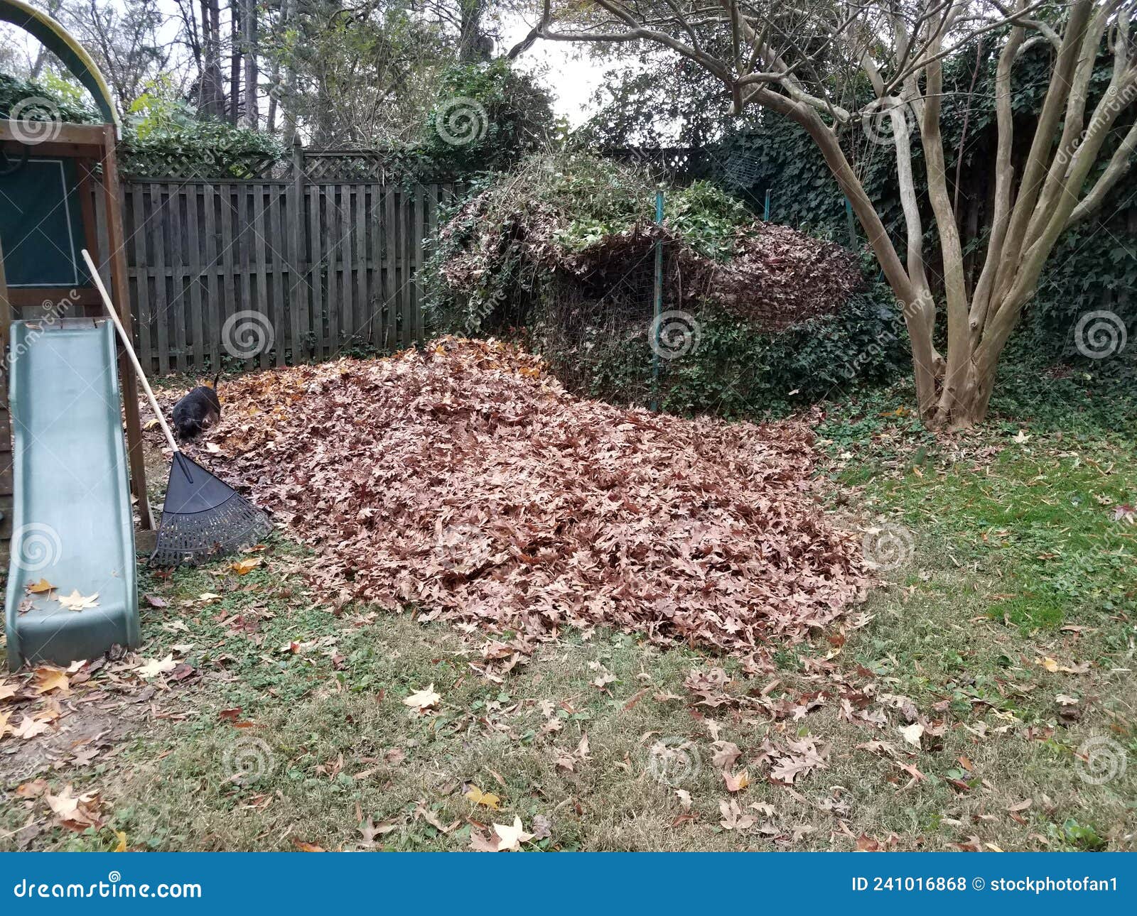 Pile of Leaves and Compost Pile in Yard and Dog Stock Photo - Image of ...