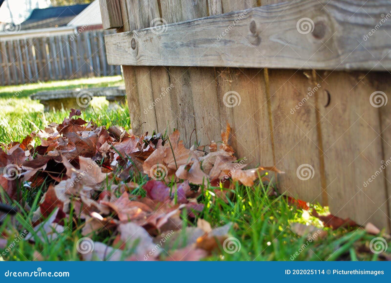 Pile of Leaves and a Rake Leaning Against a Fence Fall Background Stock ...