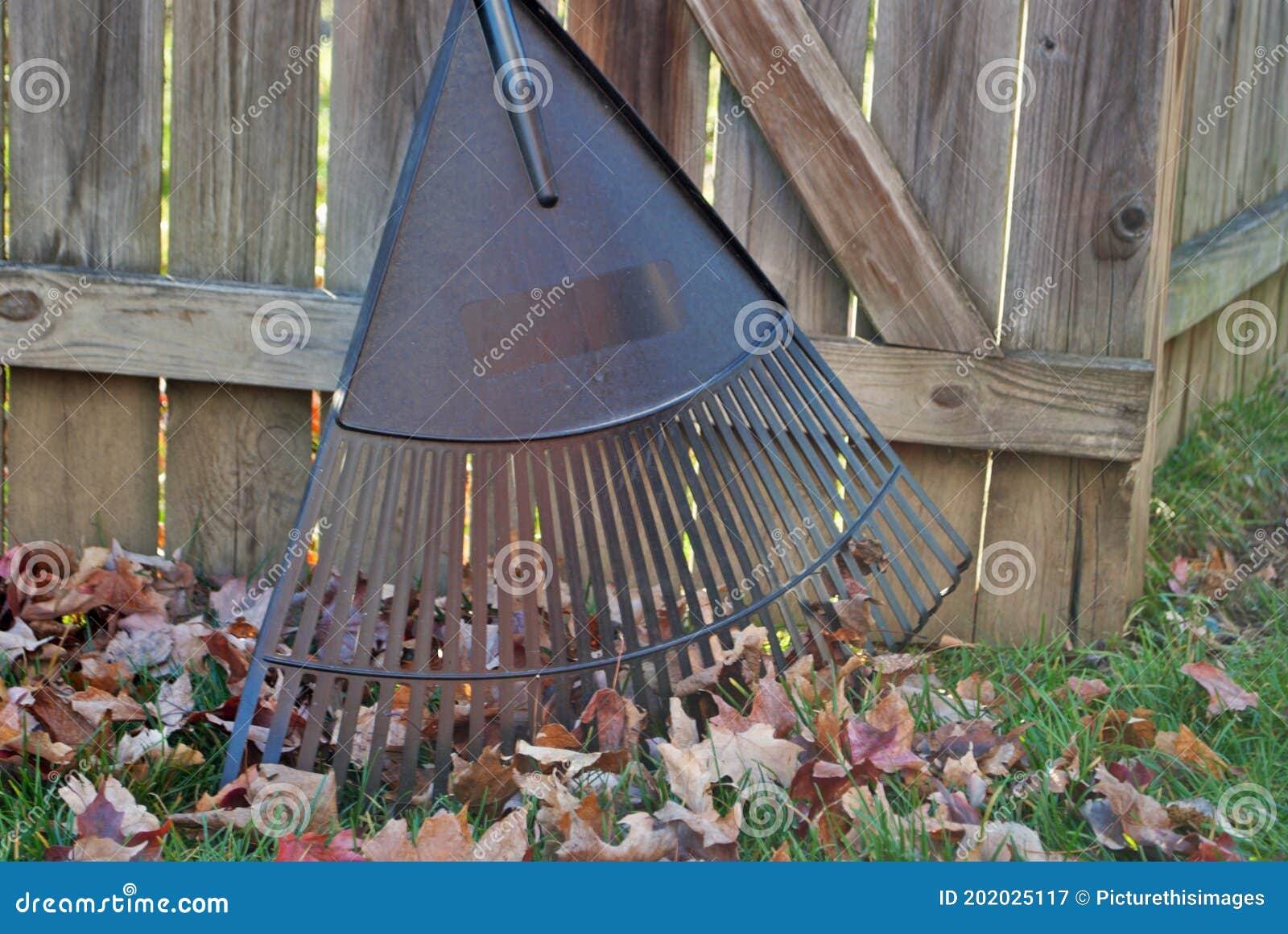 Pile of Leaves and a Rake Leaning Against a Fence Fall Background Stock ...