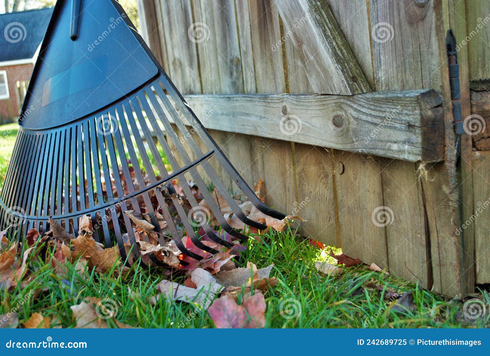 Pile of Leaves and a Rake Leaning Against a Fence Fall Background Stock ...