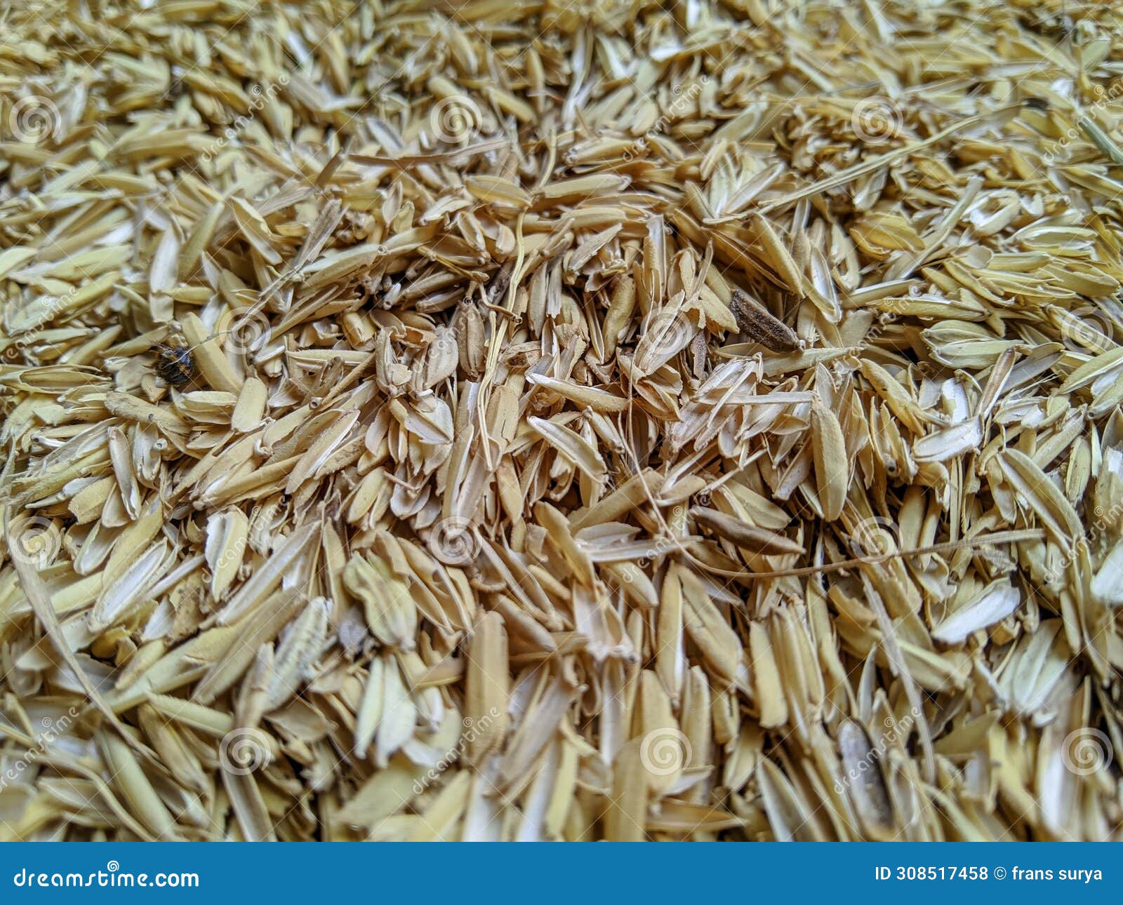 Pile of Leftover Rice Husks Stock Photo - Image of rice, pile: 308517458