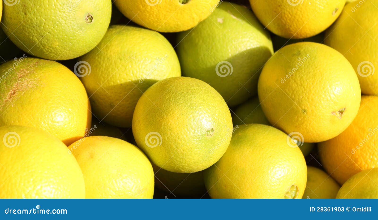 Pile of lemon stock image. Image of garden, organic, doted - 28361903