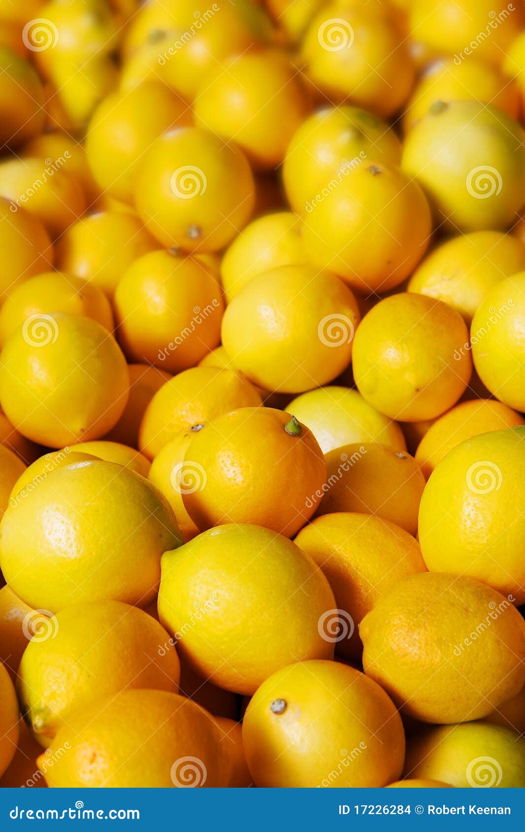 Pile of lemons stock photo. Image of juicy, tasty, diet - 17226284