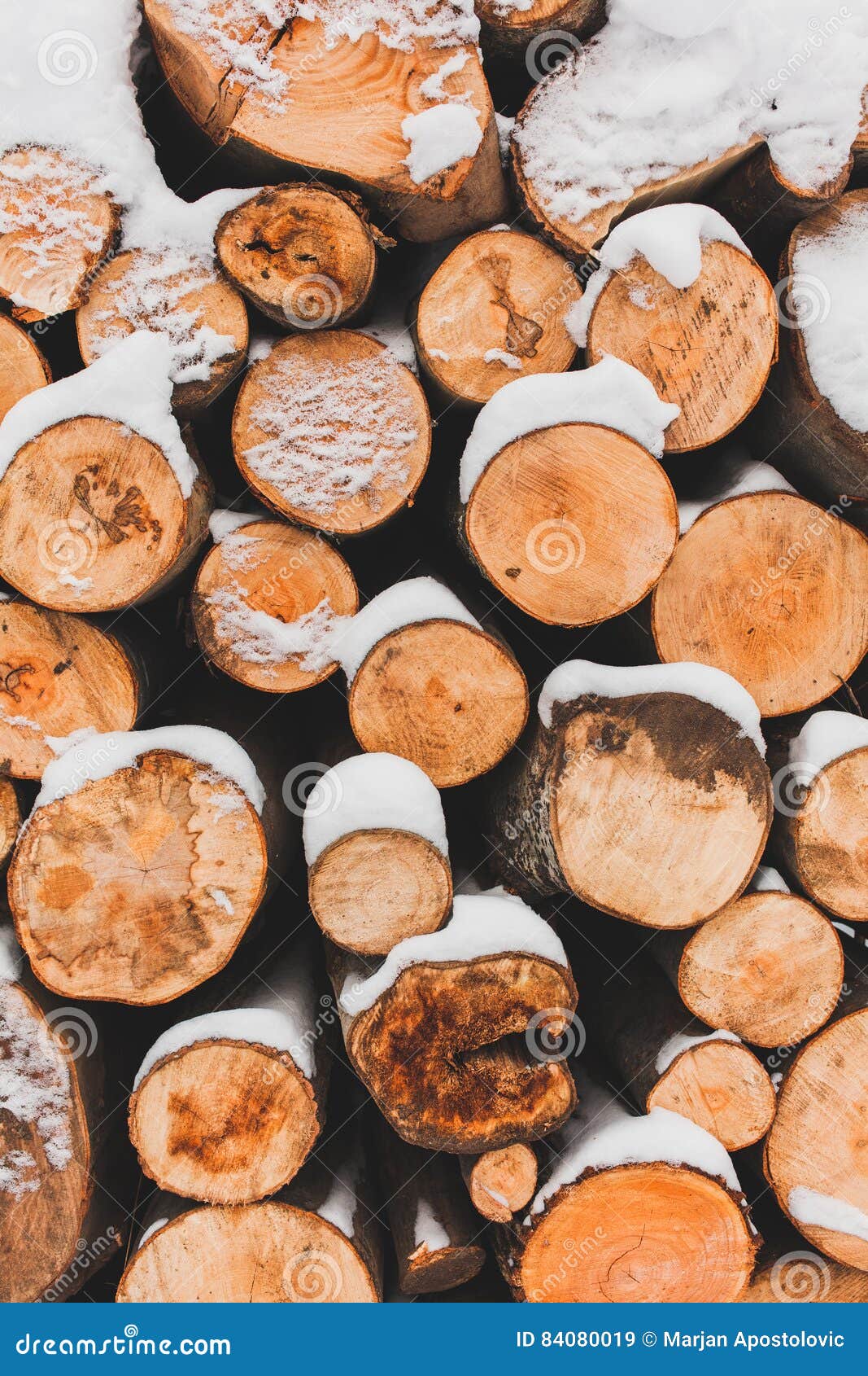 Pile of Log Material Outside Stock Image - Image of tree, industry ...