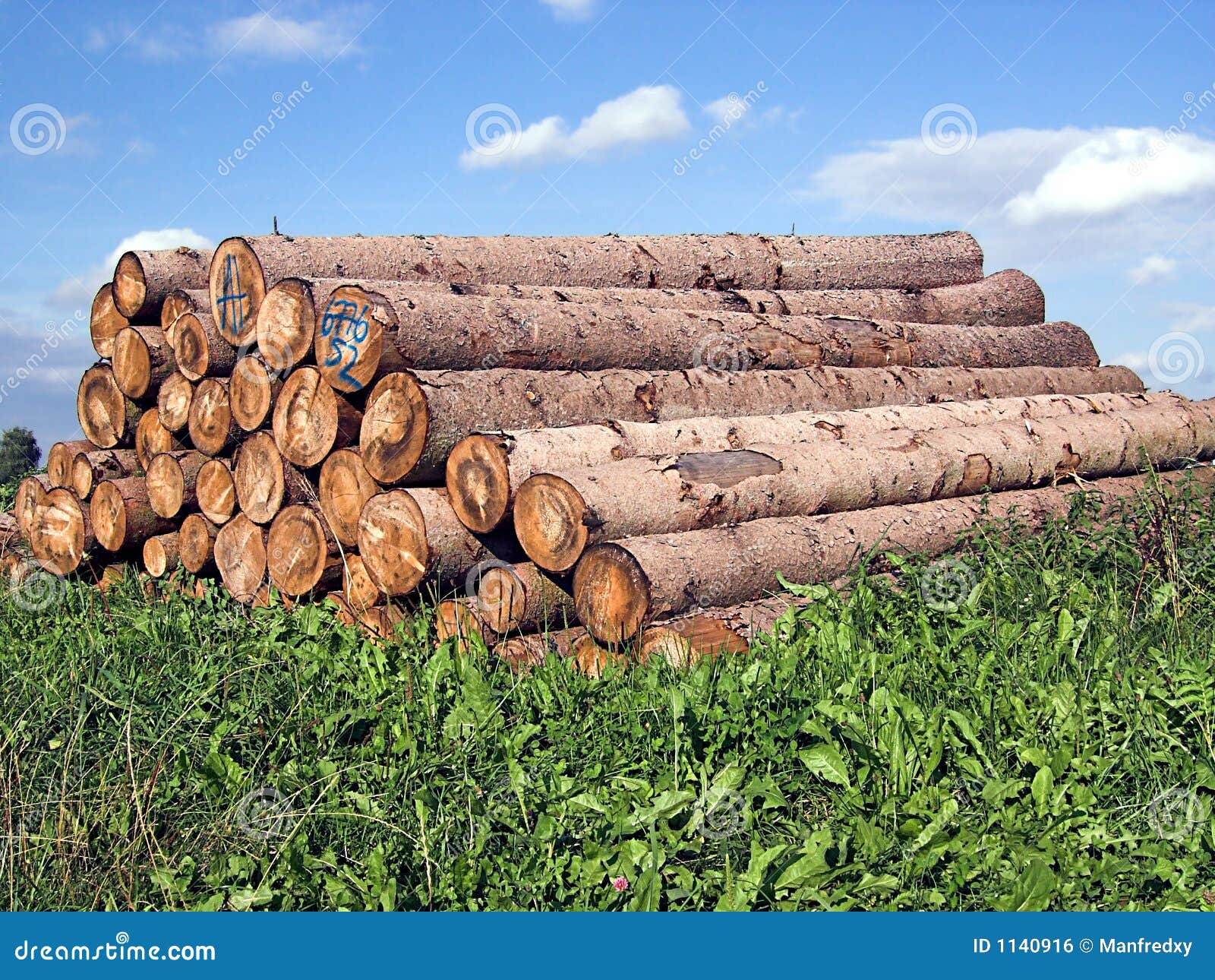 Pile Of Logs Royalty Free Stock Image - Image: 1140916