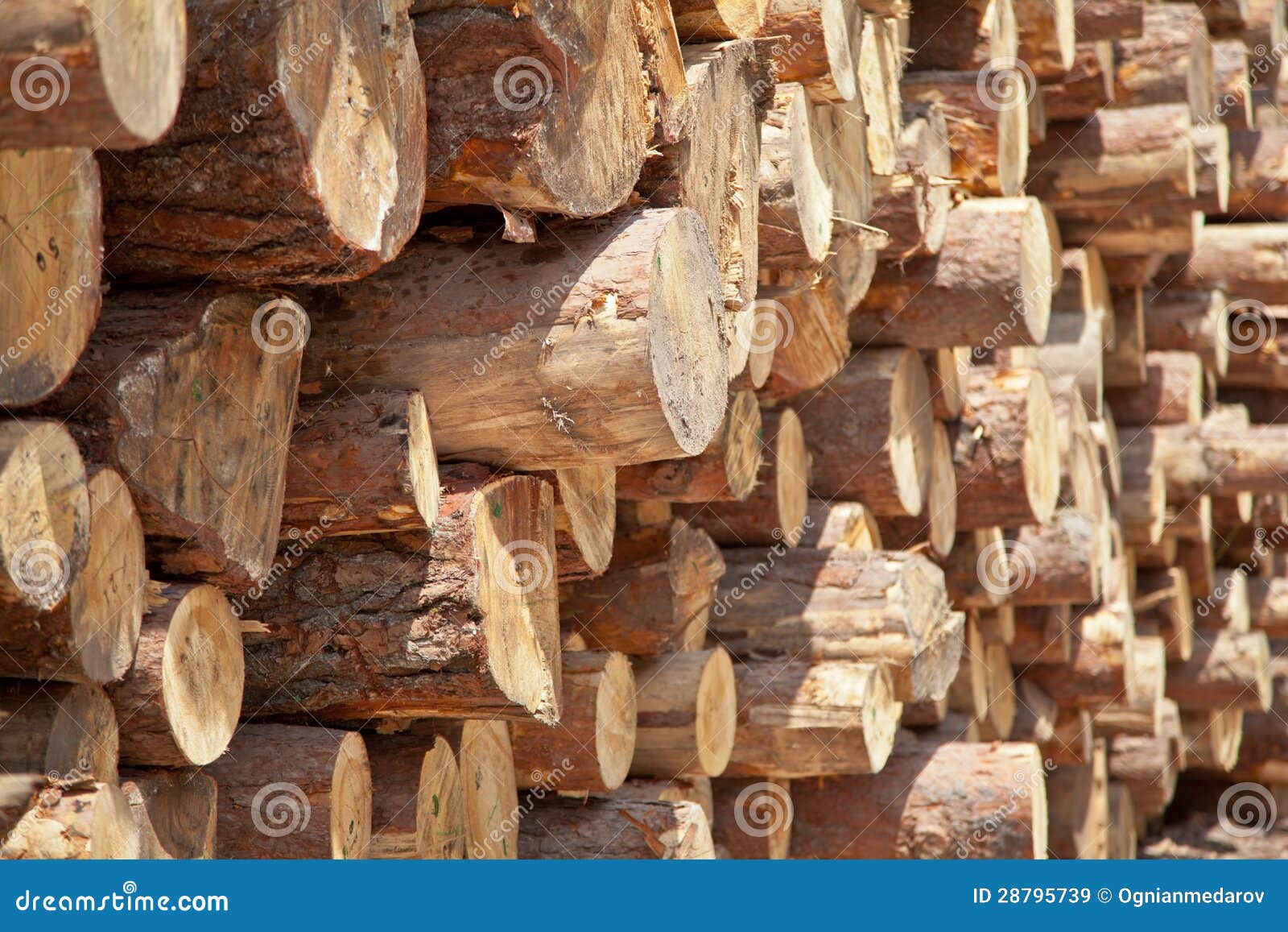 Pile of Logs stock image. Image of trunk, rough, timber - 28795739