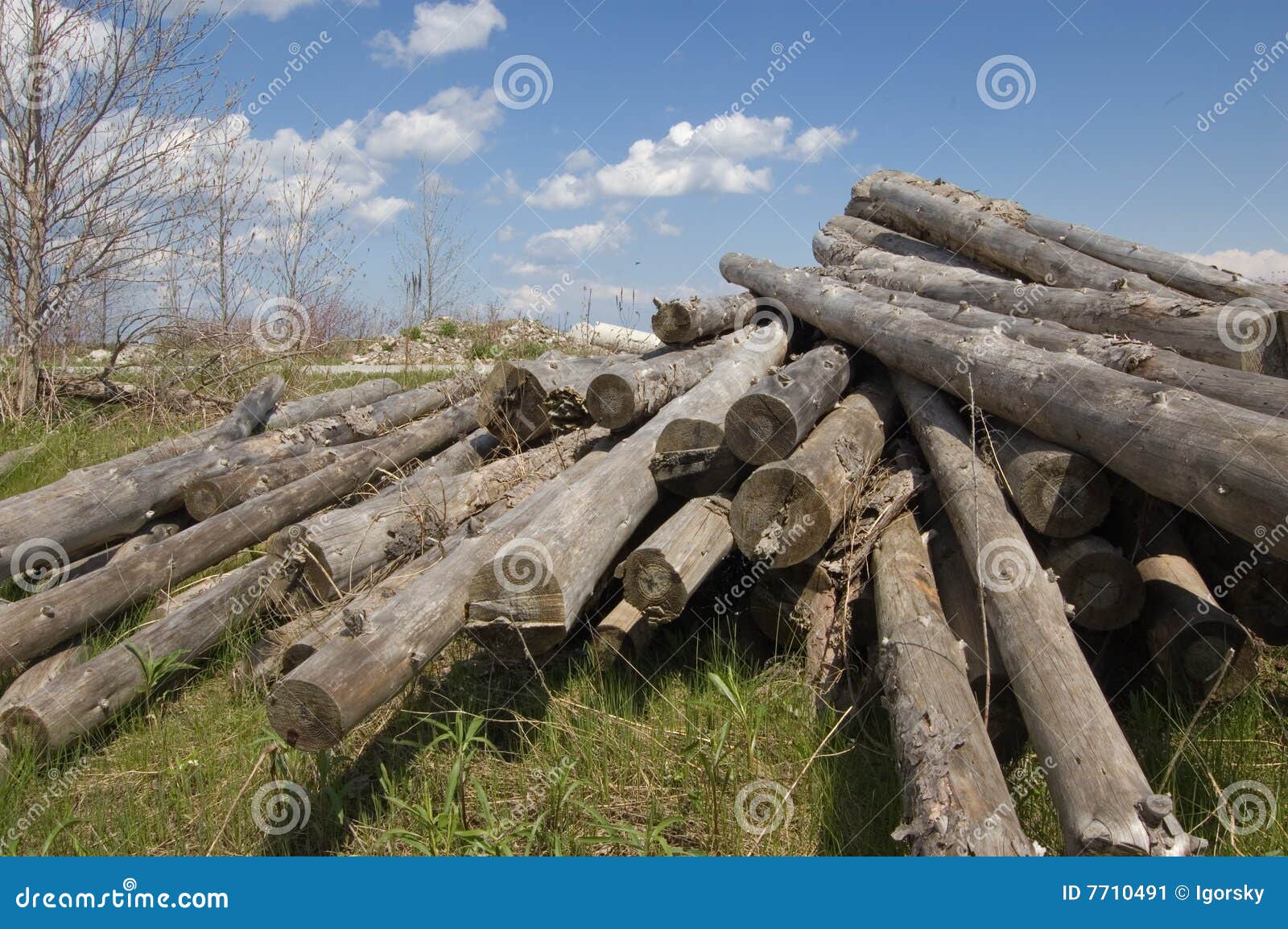 Pile of logs stock image. Image of timber, mill, background - 7710491