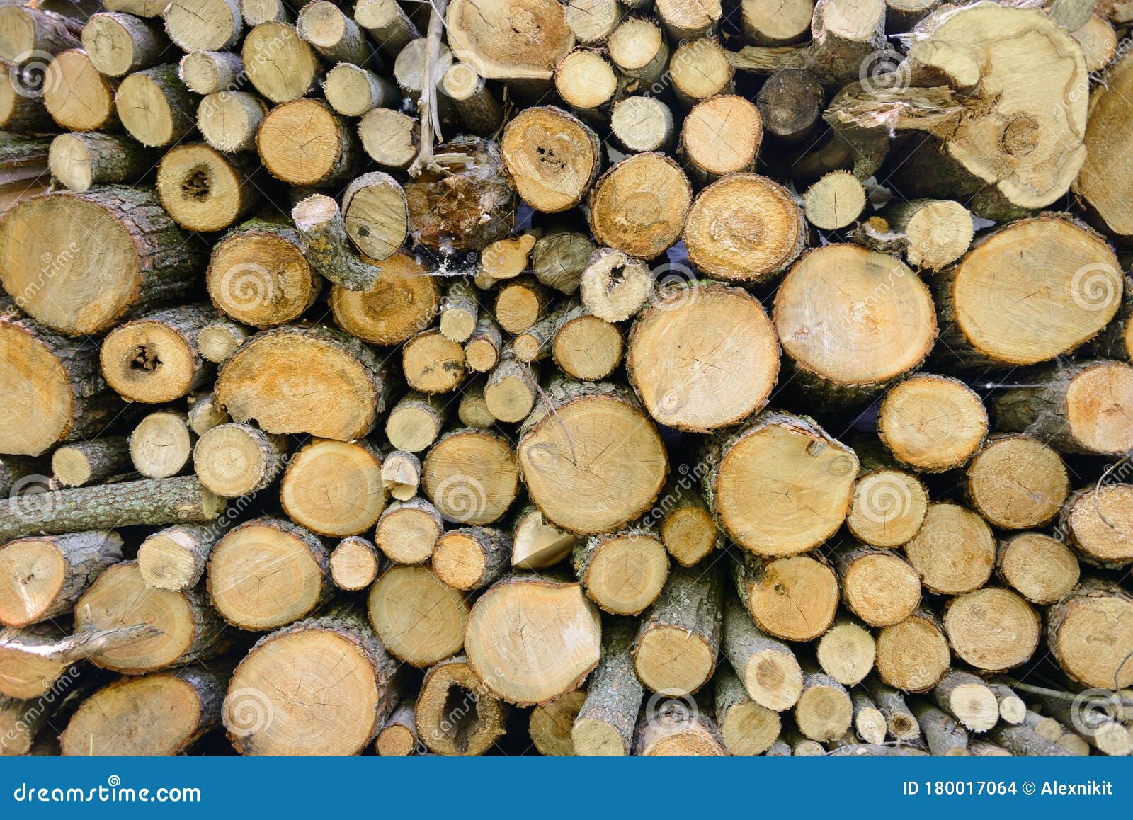 Pile of Logs for Firewood Piled by a Wall Stock Photo - Image of ...