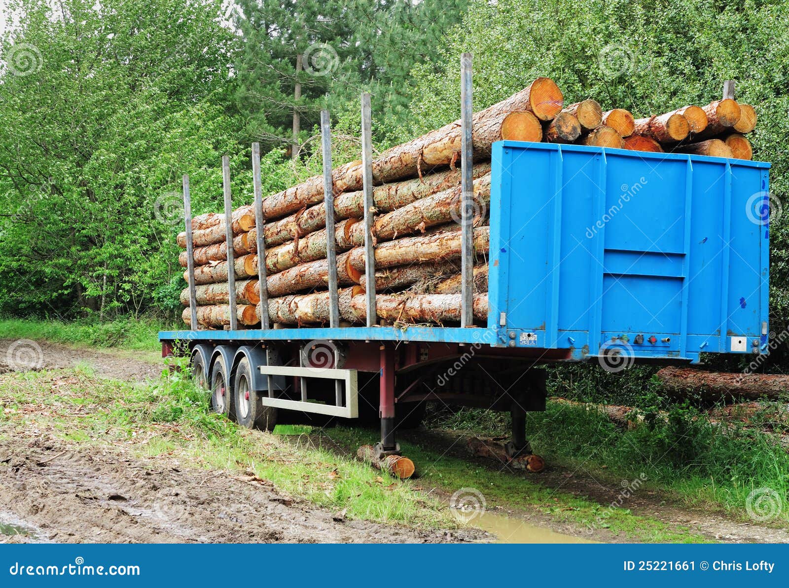 A Pile Of Logs On A Flatbed Trailer Stock Image - Image of forestry ...